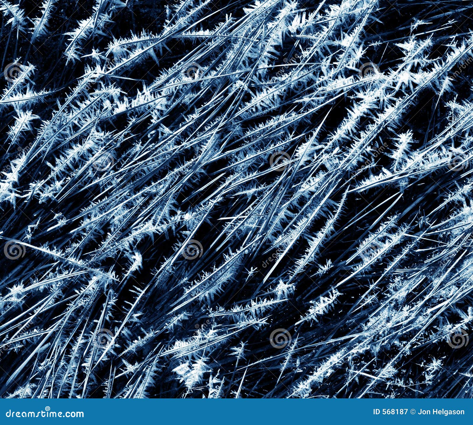 Frosty spikes and needles stock image. Image of season - 568187