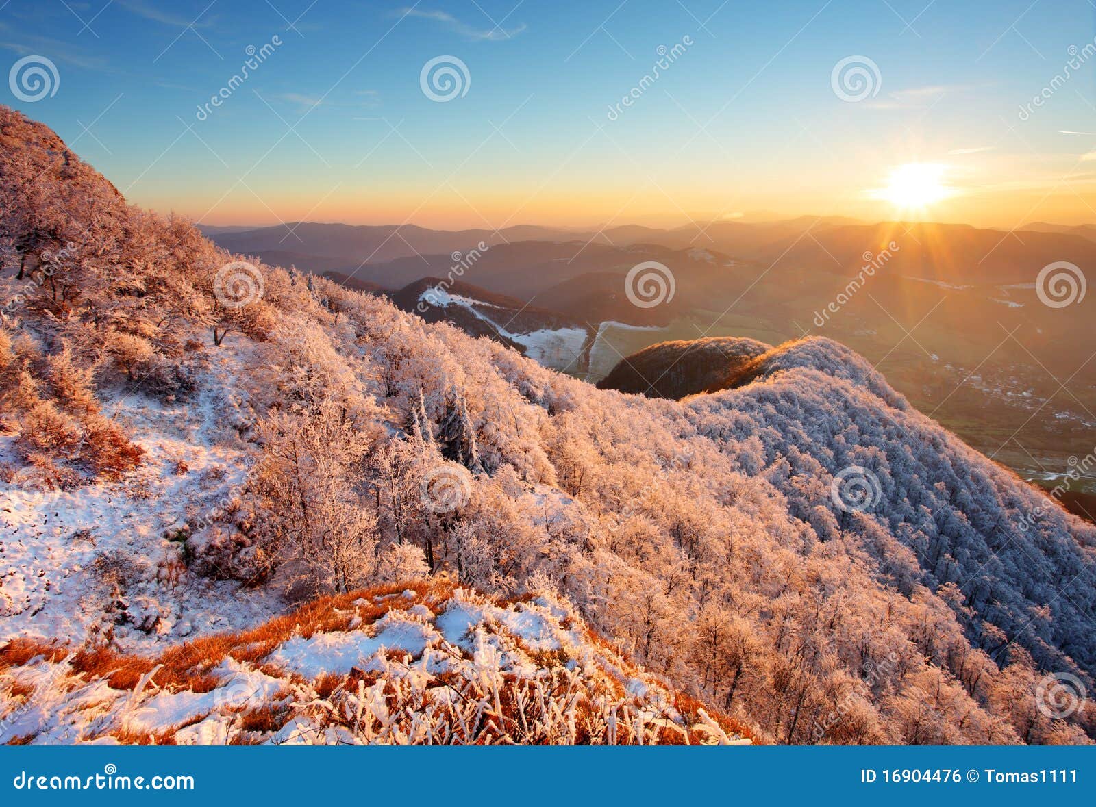 A Frosty Sunset in Hoarfrost Landscape Stock Photo - Image of frosty ...