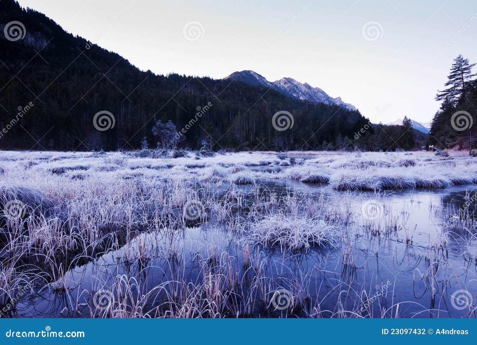 Frosty Swamp in Winter Scenery Stock Photo - Image of lake, water: 23097432