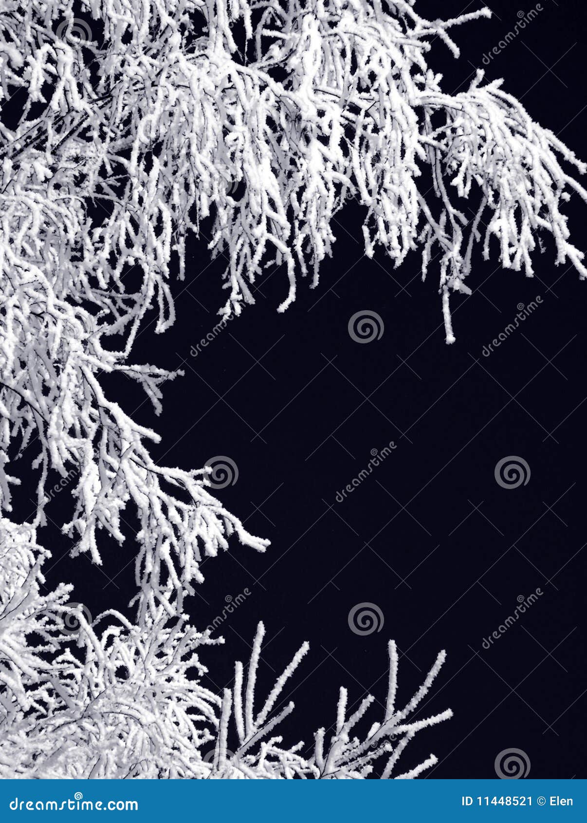 Frosty tree stock illustration. Illustration of white - 11448521