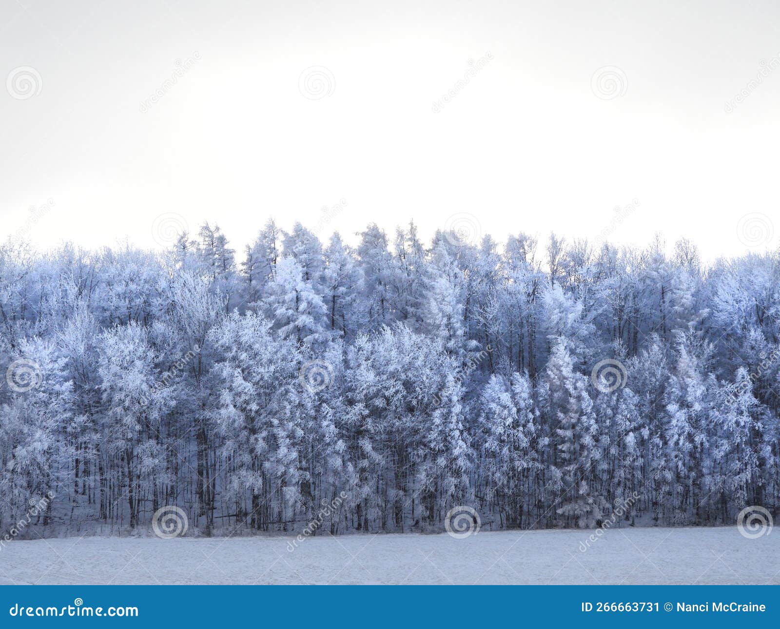 Frost and Snow Mountain Treeline in Fingerlakes Country Stock Image ...