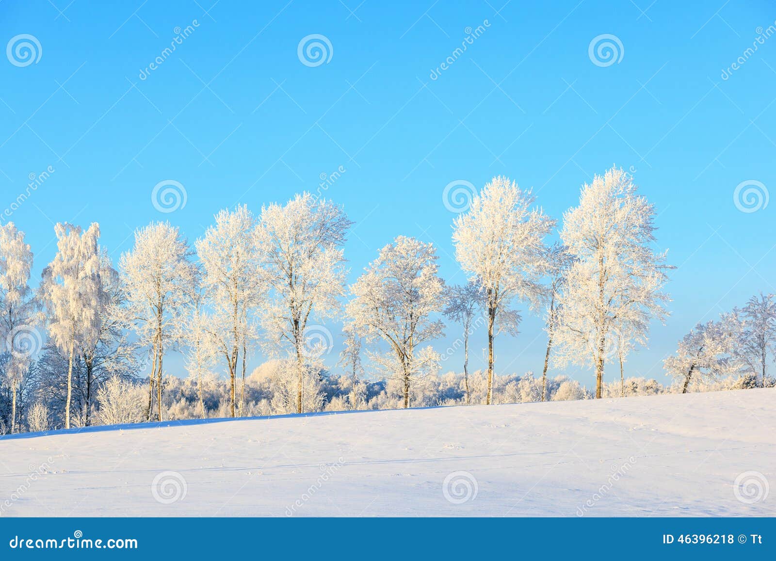 Frosty Treeline in Winter Landscape Stock Photo - Image of landscape ...