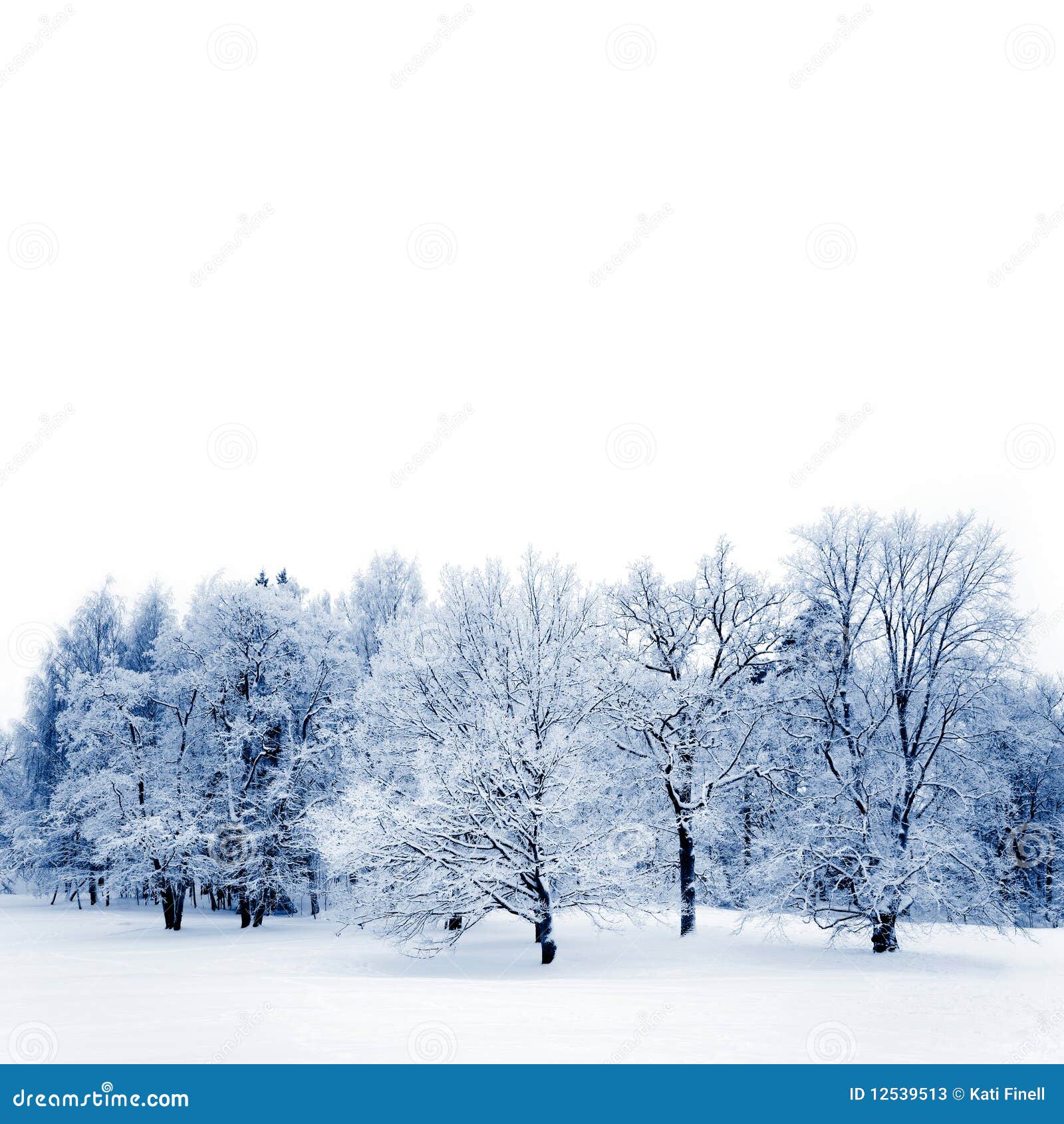 Frosty trees stock image. Image of snow, frozen, cold - 12539513