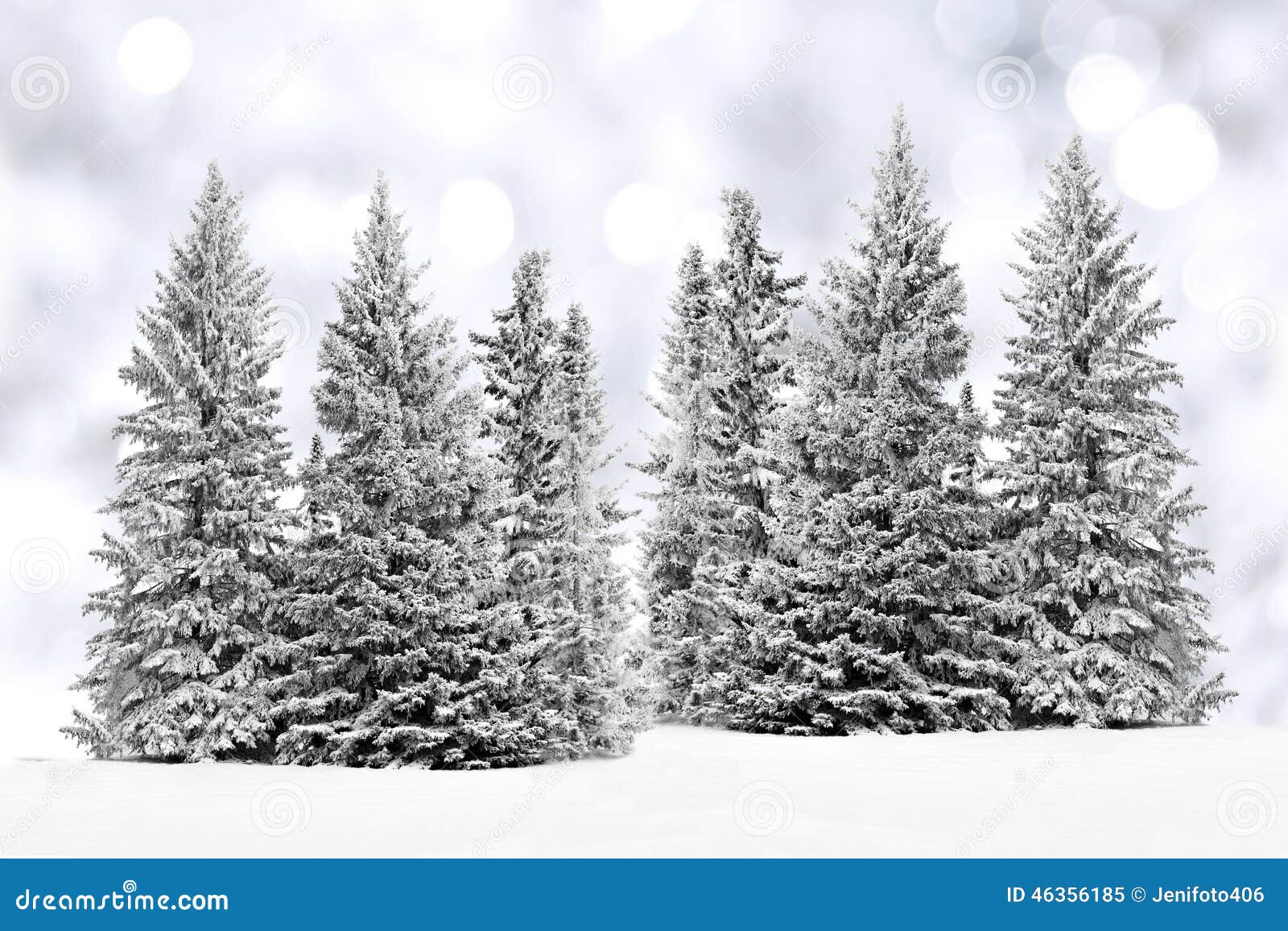 Frosty Trees with Twinkling Background Stock Image - Image of season ...