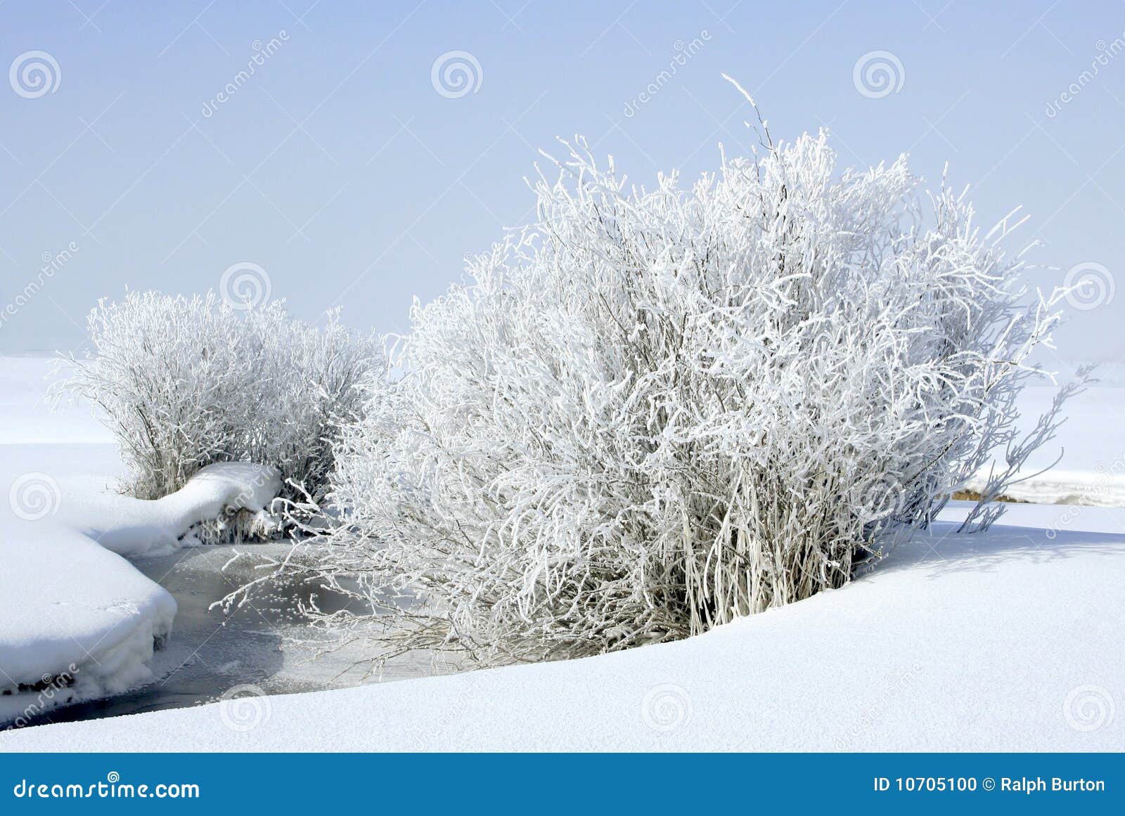 Frosty and very cold stock photo. Image of blanket, stream - 10705100