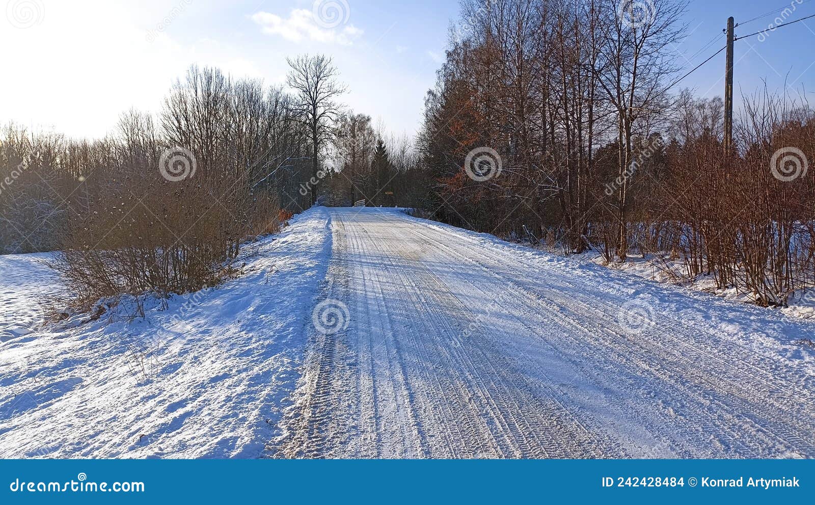 Frosty Village Path stock photo. Image of blizzard, plant - 242428484