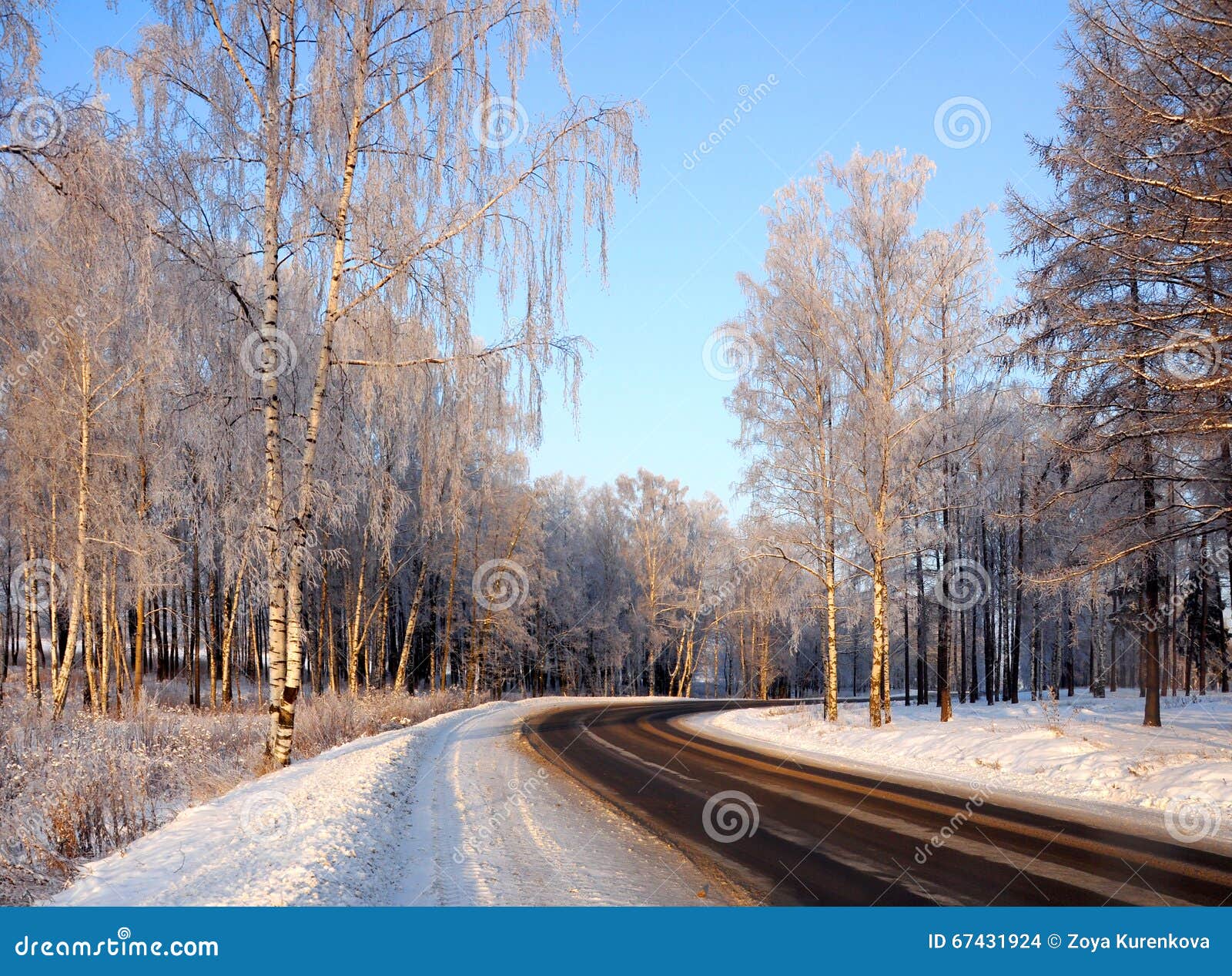 Frosty winter day stock photo. Image of white, beauty - 67431924