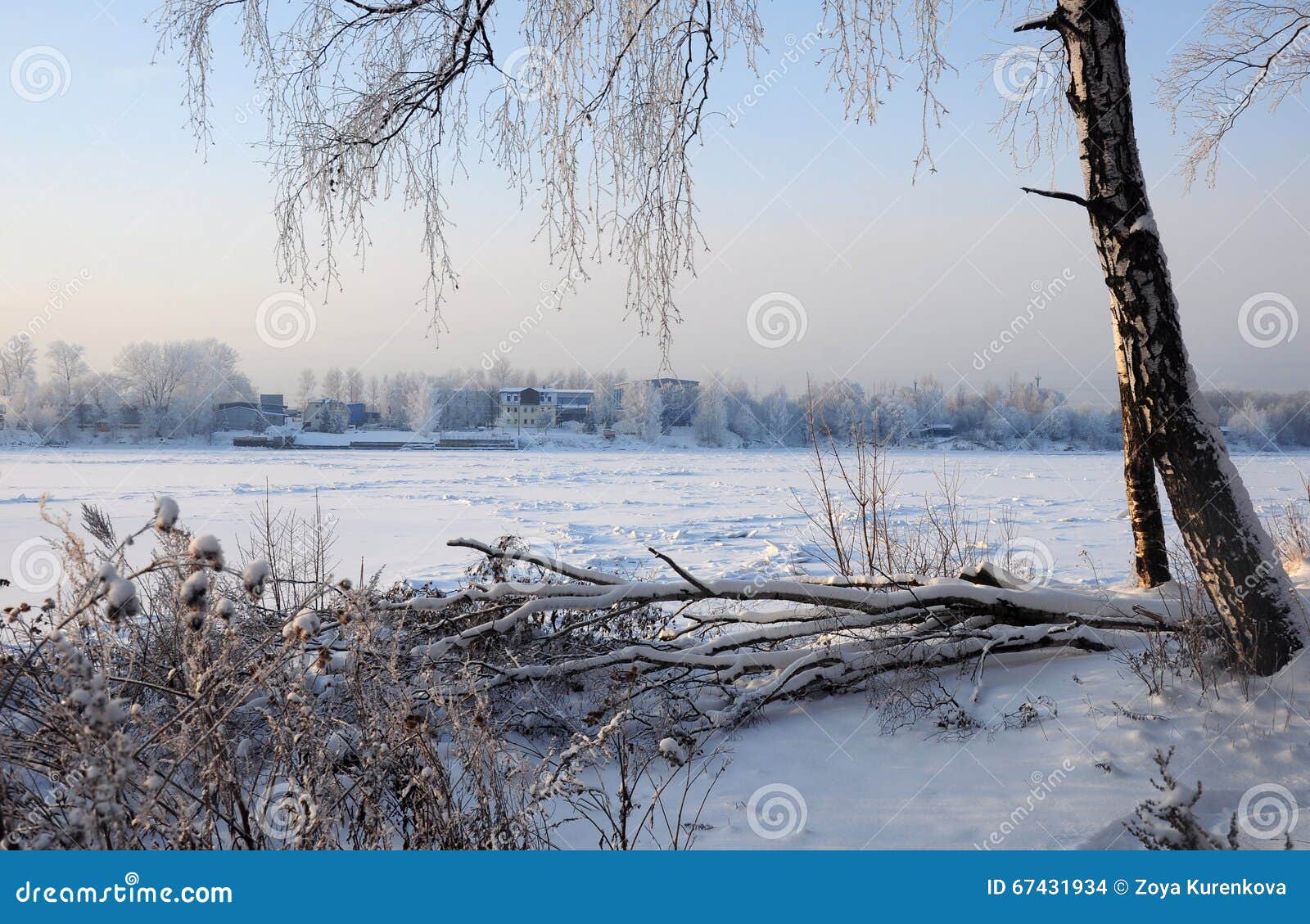 Frosty winter day stock photo. Image of outdoor, weather - 67431934