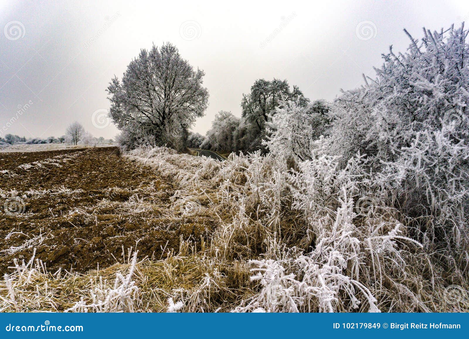 Frosty Winter Landscape stock image. Image of snow, nature - 102179849