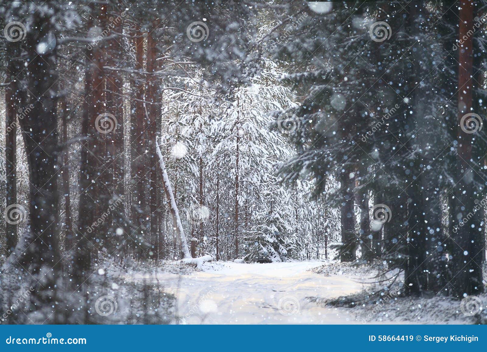 Frosty winter stock image. Image of frozen, country, scene - 58664419