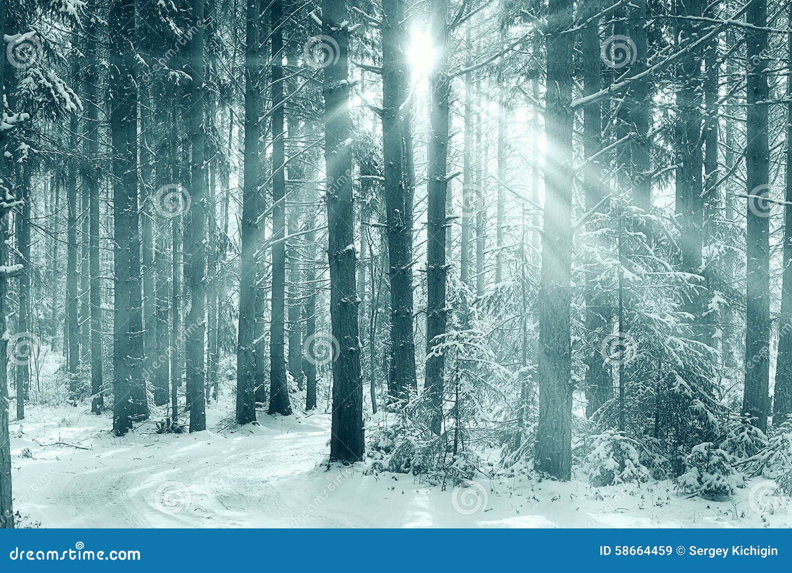 Frosty Winter Landscape Across Field At Sunrise Royalty-Free Stock ...