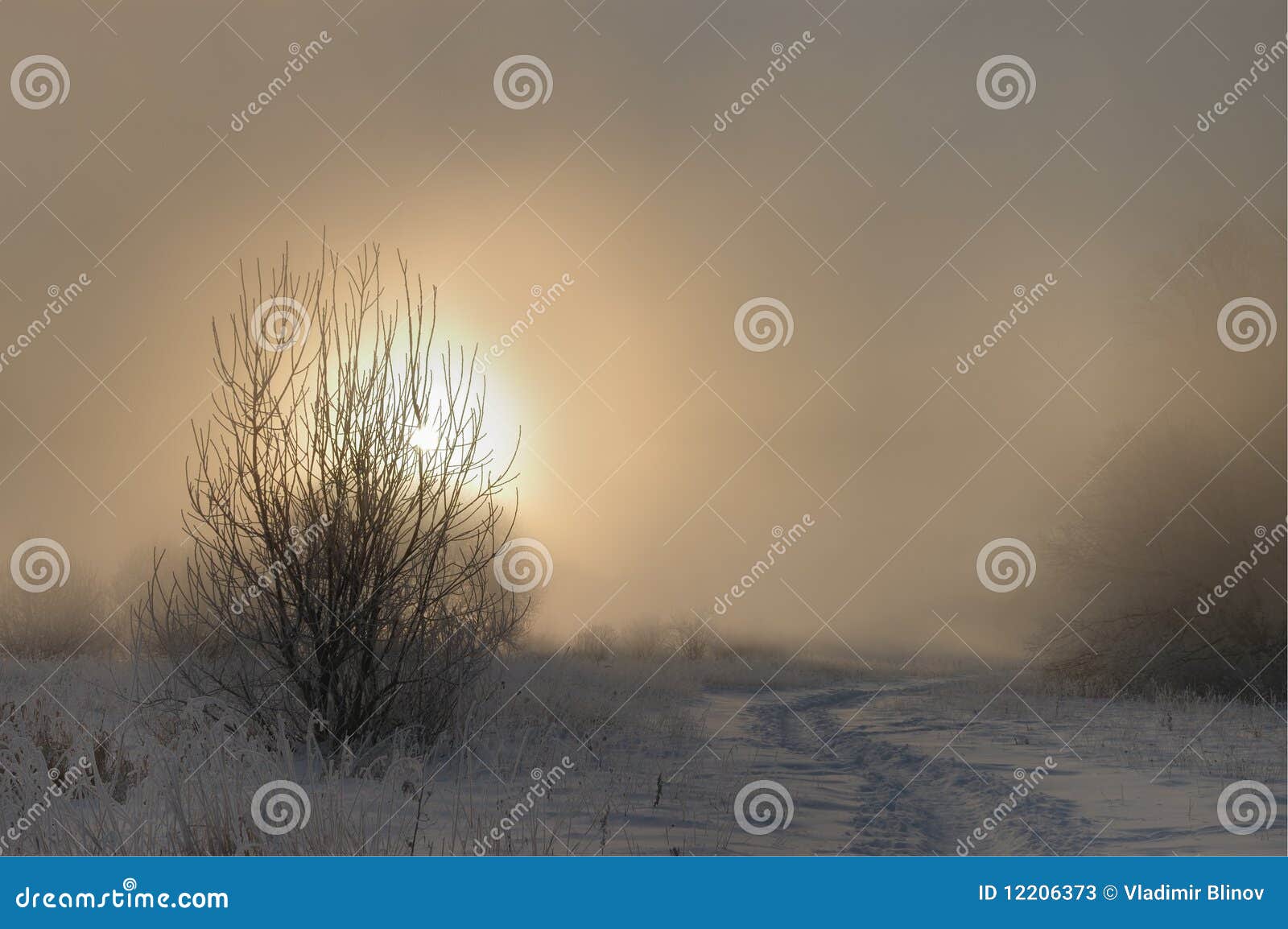 Frosty winter morning stock image. Image of clear, covering - 12206373