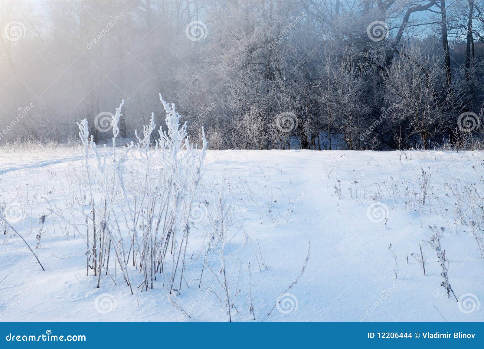 Frosty winter morning stock photo. Image of reflection - 12206444