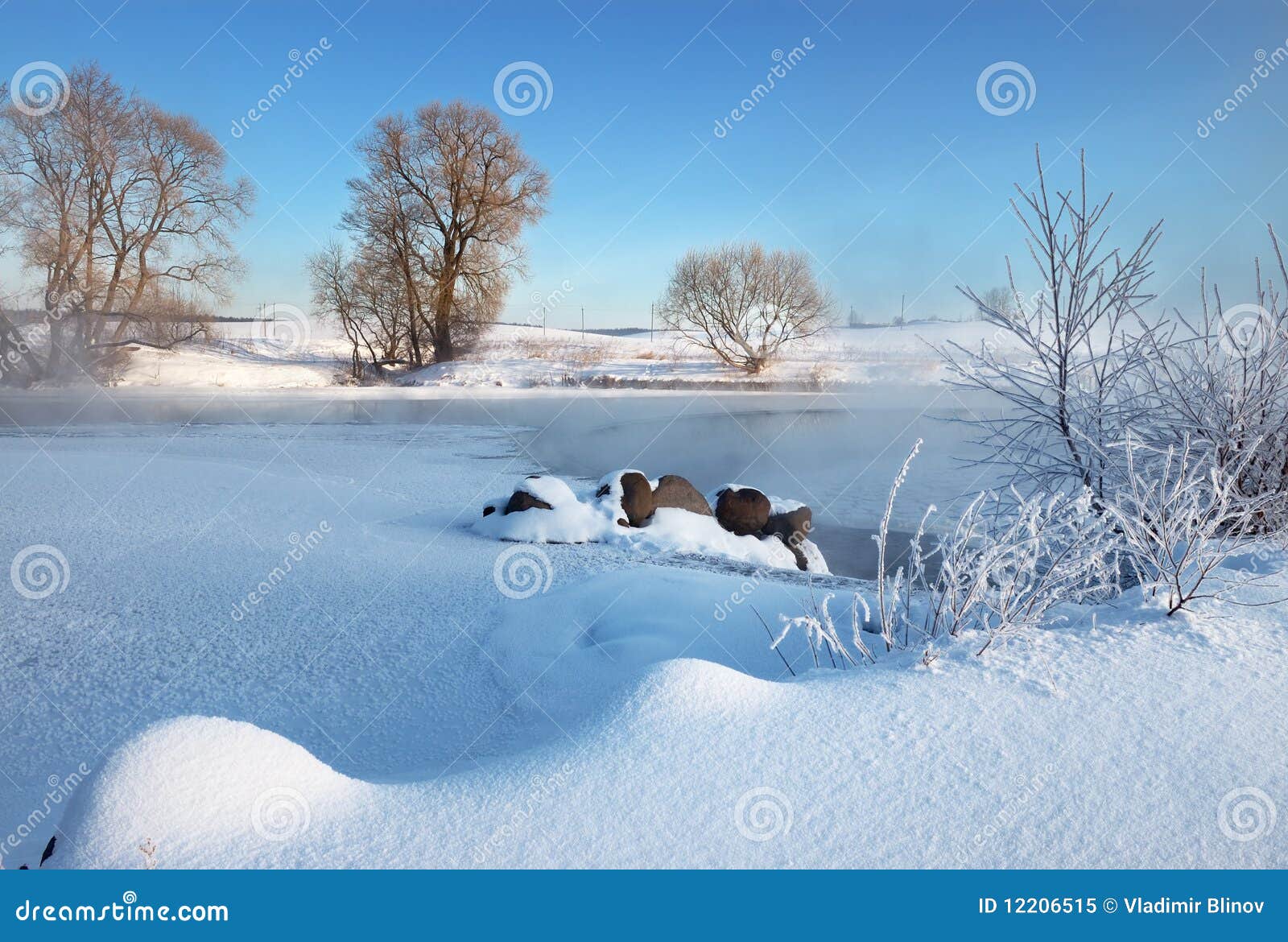 Frosty winter morning stock image. Image of plant, europe - 12206515