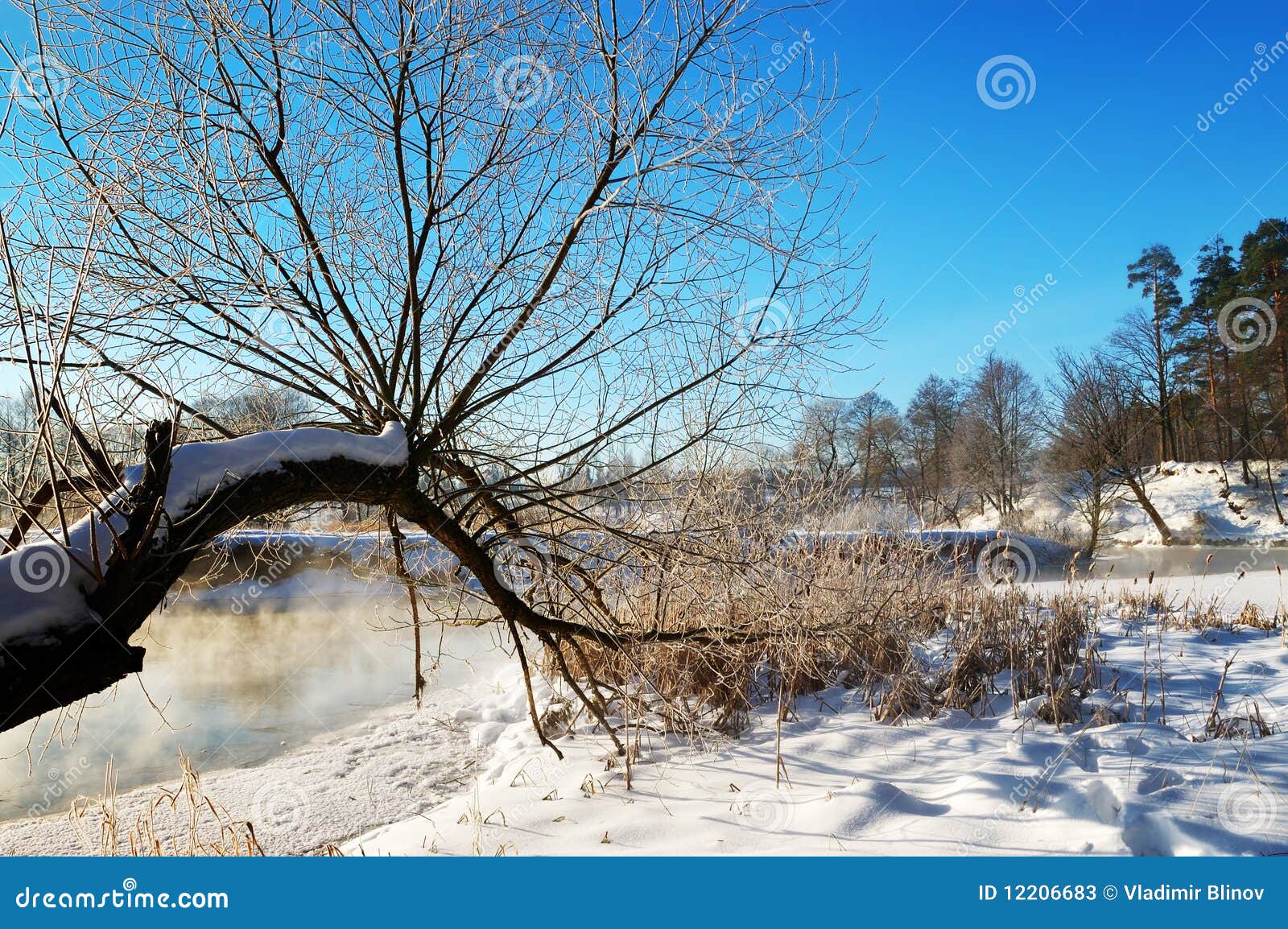 Frosty winter morning stock image. Image of covering - 12206683