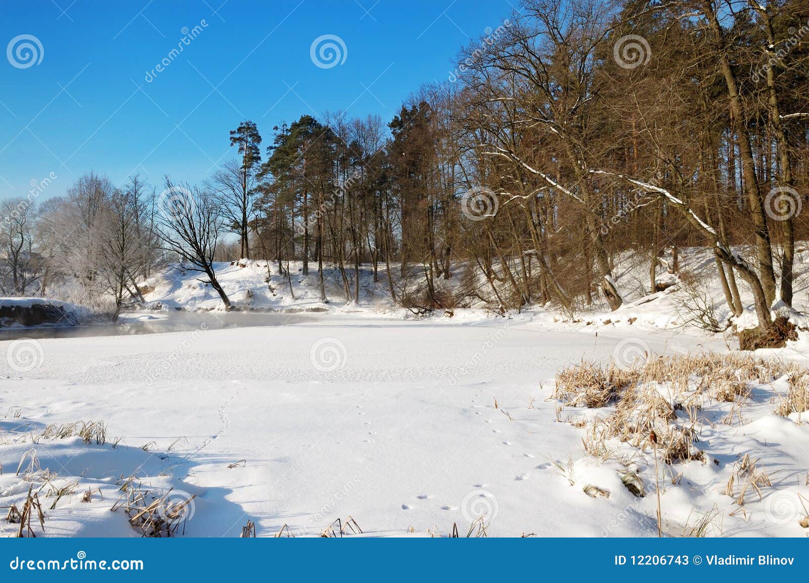 Frosty winter morning stock image. Image of january, covering - 12206743