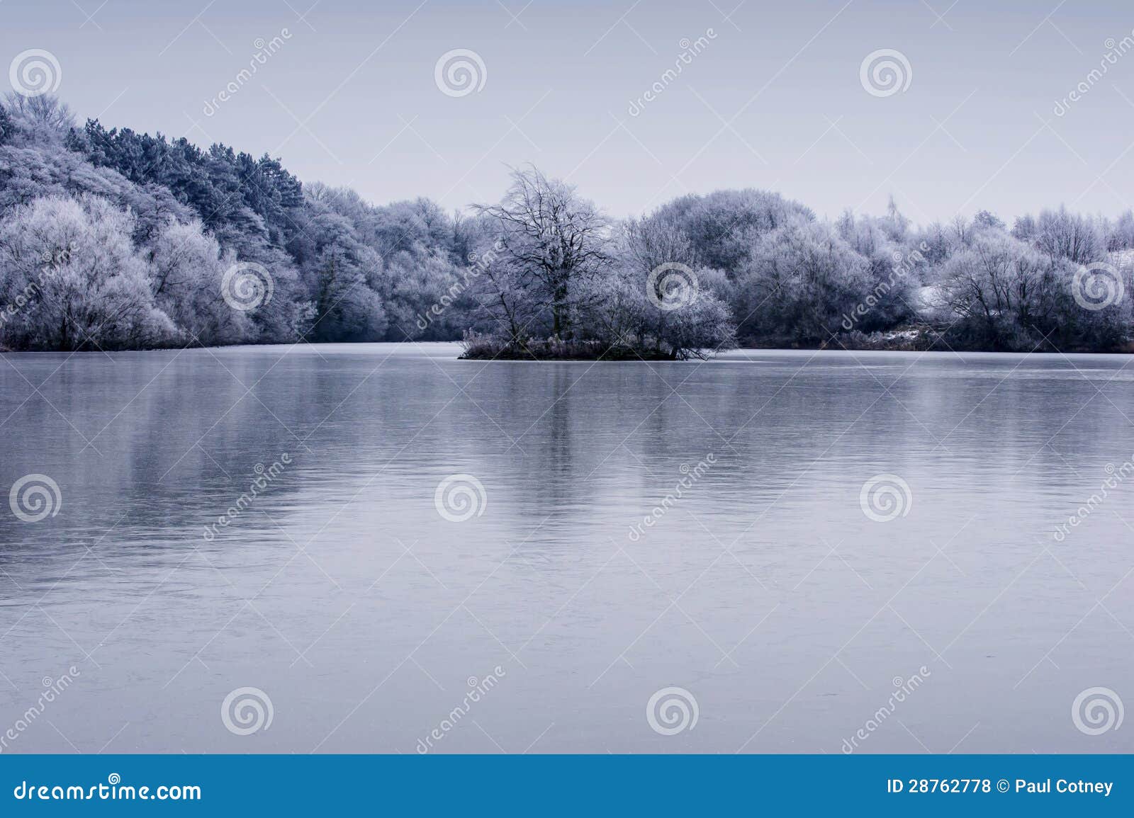 Frosty Winter Trees Landscape with Reflection in Lake Stock Photo ...
