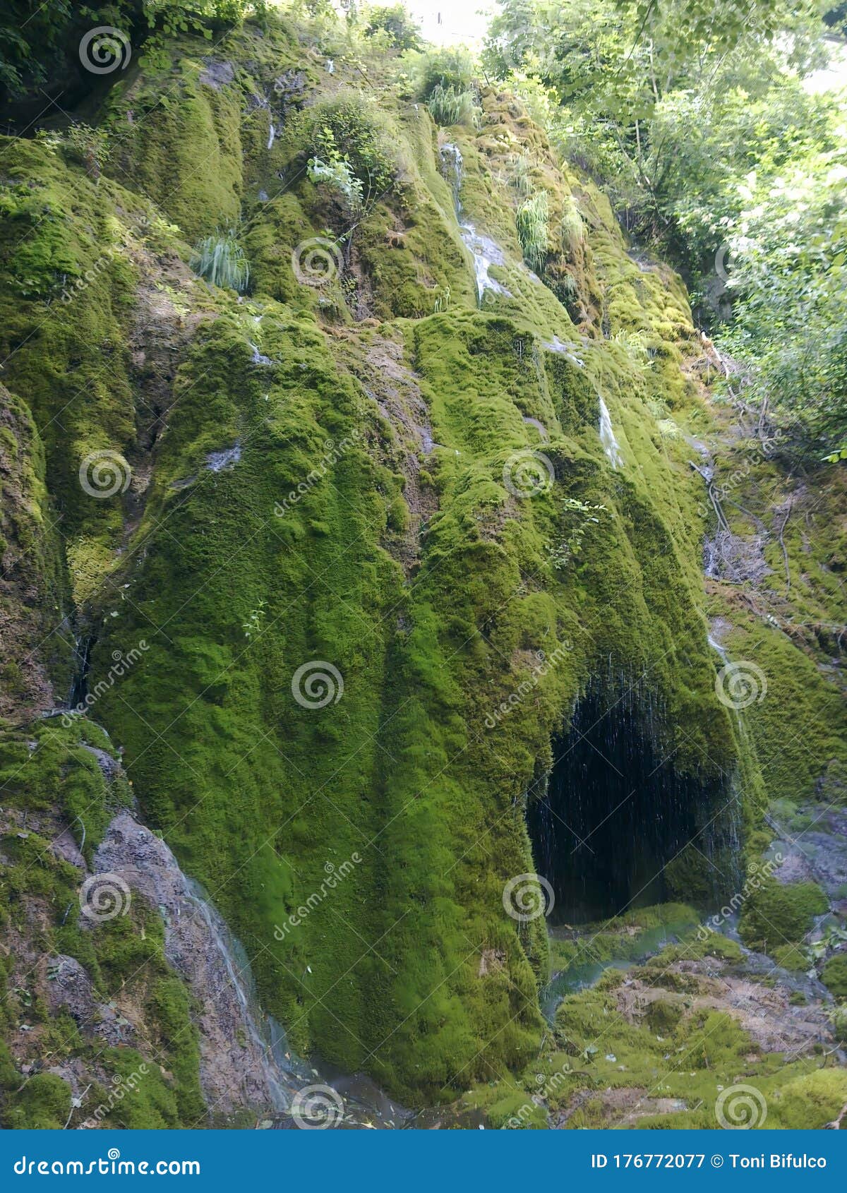 Froth Foam Lather Caves Green Nature Stock Image - Image of lather ...