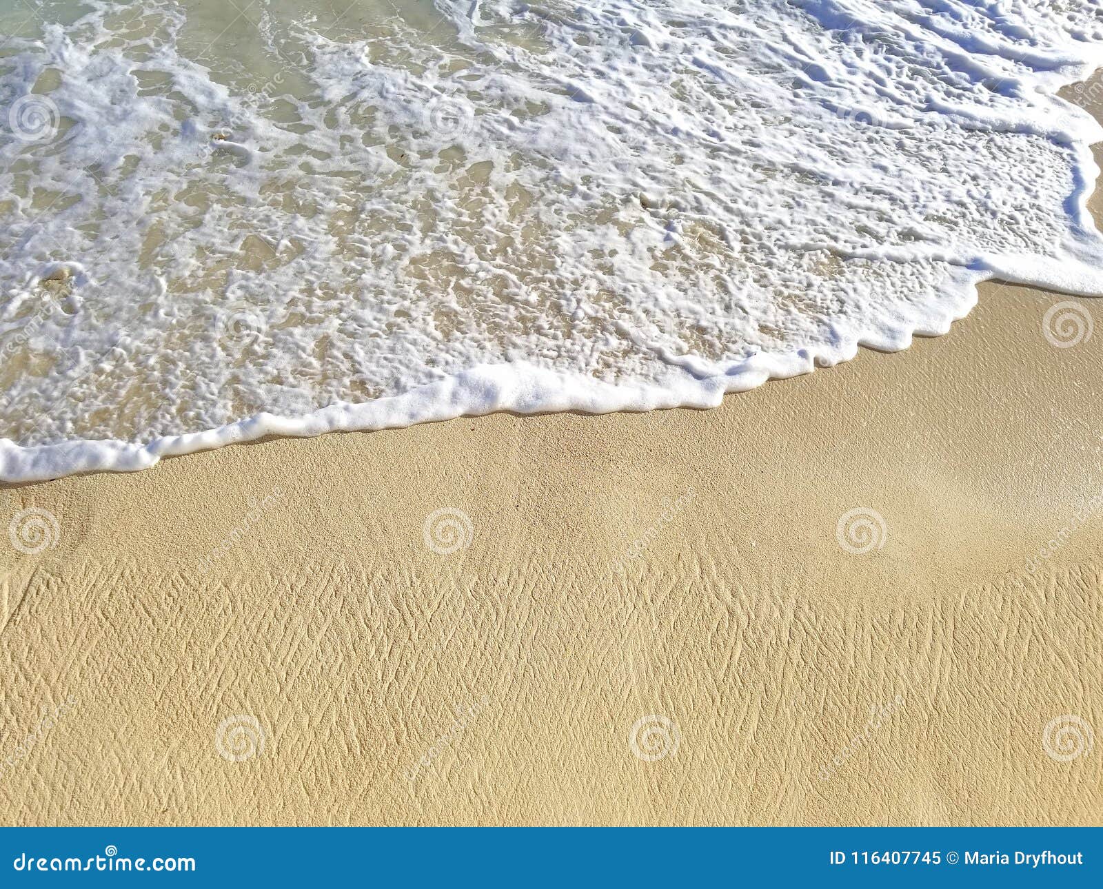 Frothy Saltwater on Beach Sand Stock Image - Image of coastline, shore ...
