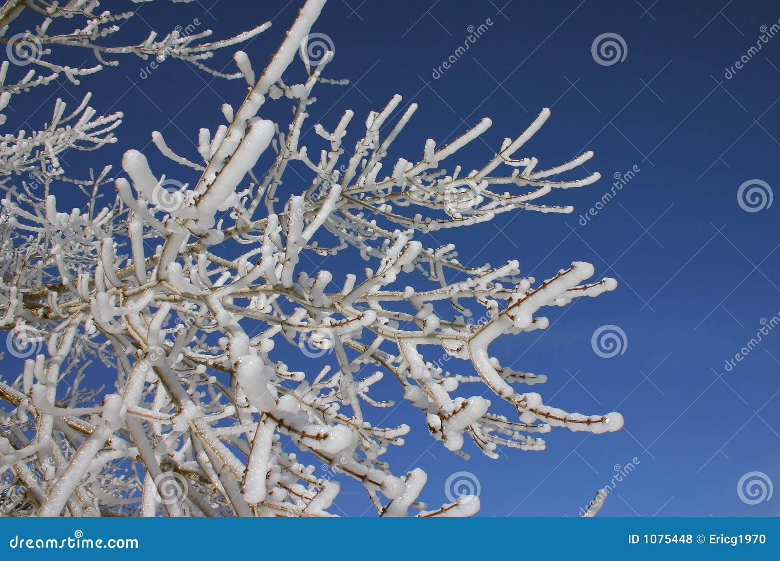 Frozen stock photo. Image of snowy, frozen, cold, snow - 1075448