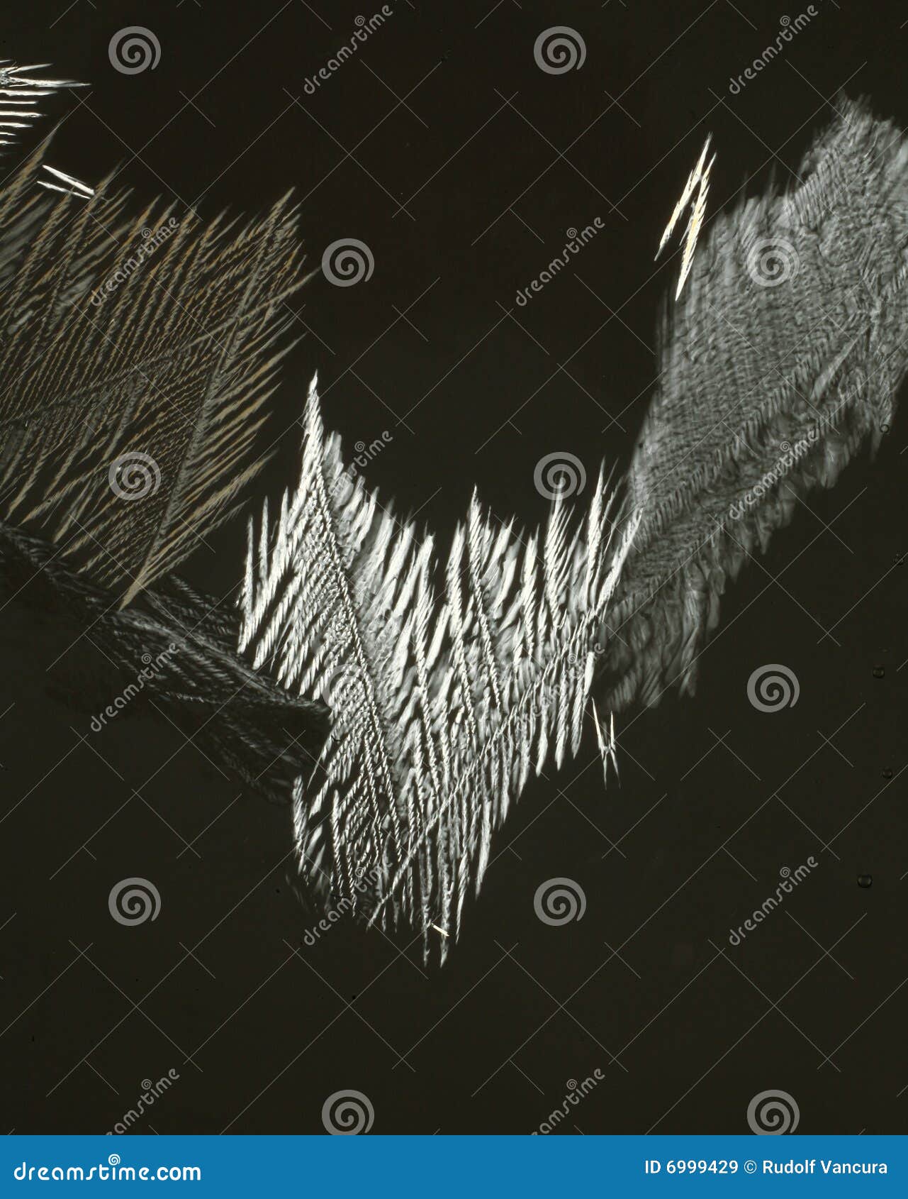 Frozen Acid Surface stock image. Image of polarized, frozen - 6999429