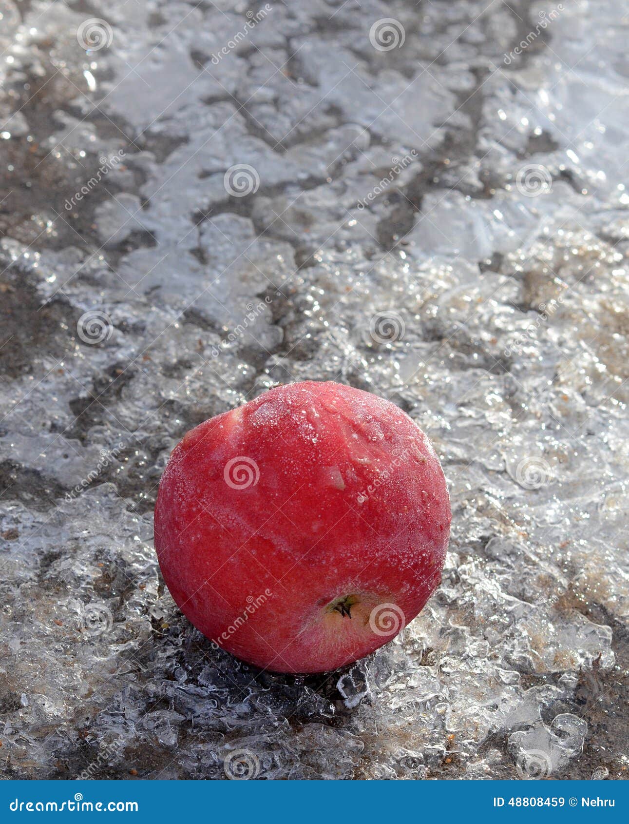 Frozen apple on ice stock image. Image of cloud, scene - 48808459