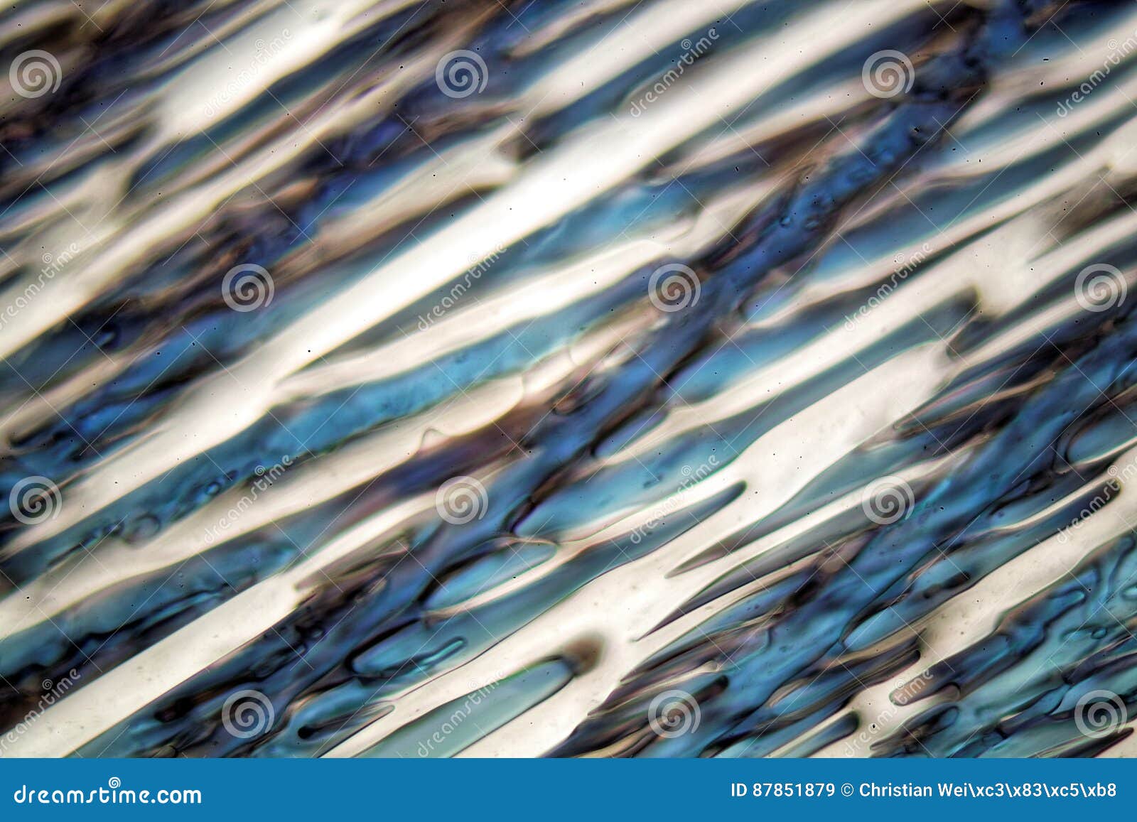 Frozen Apple Juice Under a Microscope. Stock Image - Image of healthy ...