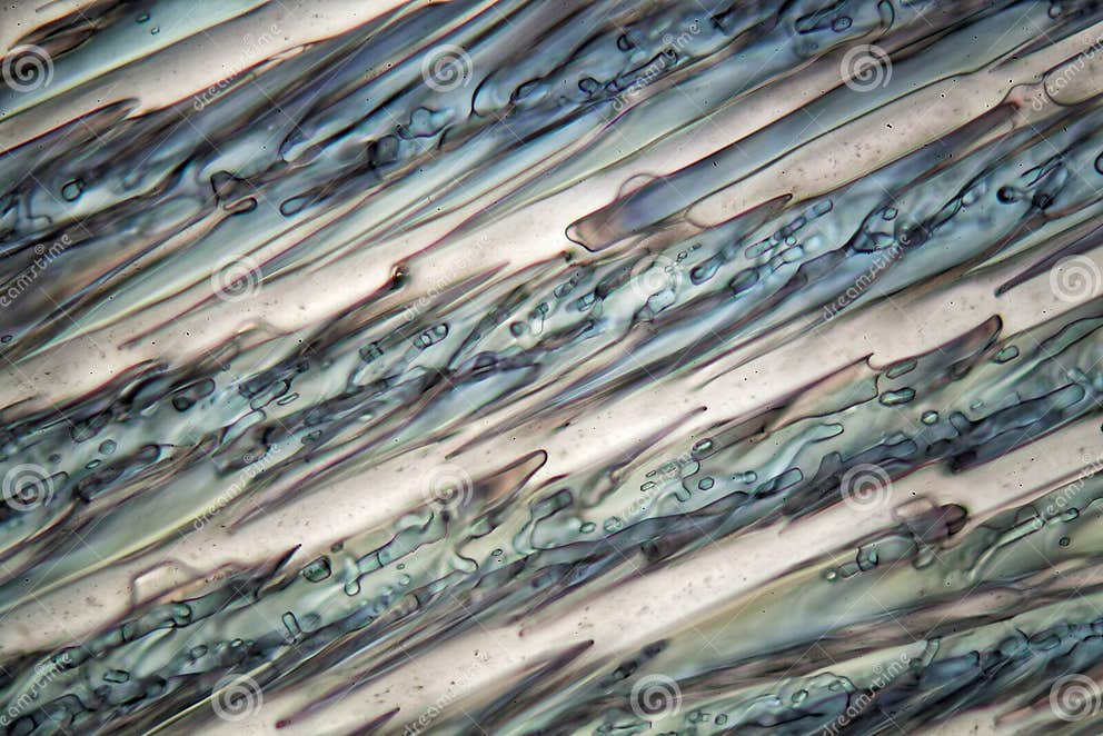 Frozen Apple Juice Under a Microscope. Stock Photo - Image of frozen ...