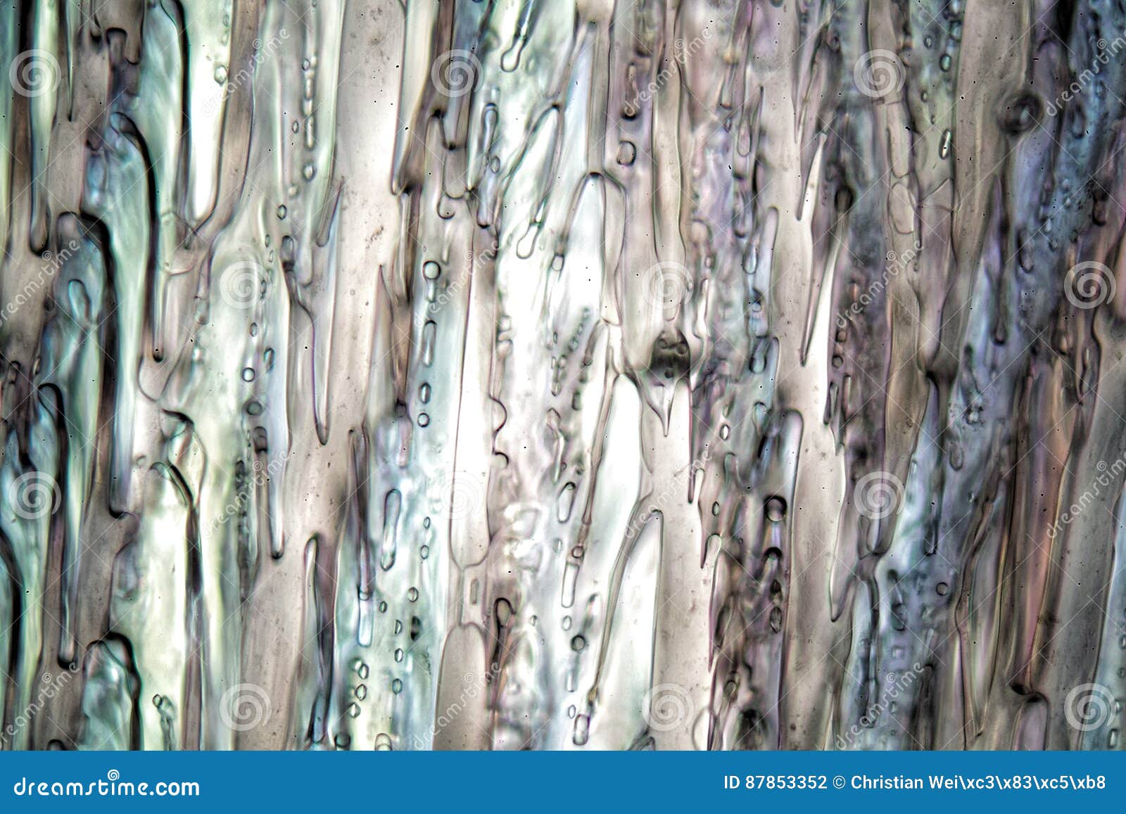 Frozen Apple Juice Under a Microscope. Stock Photo - Image of micro ...