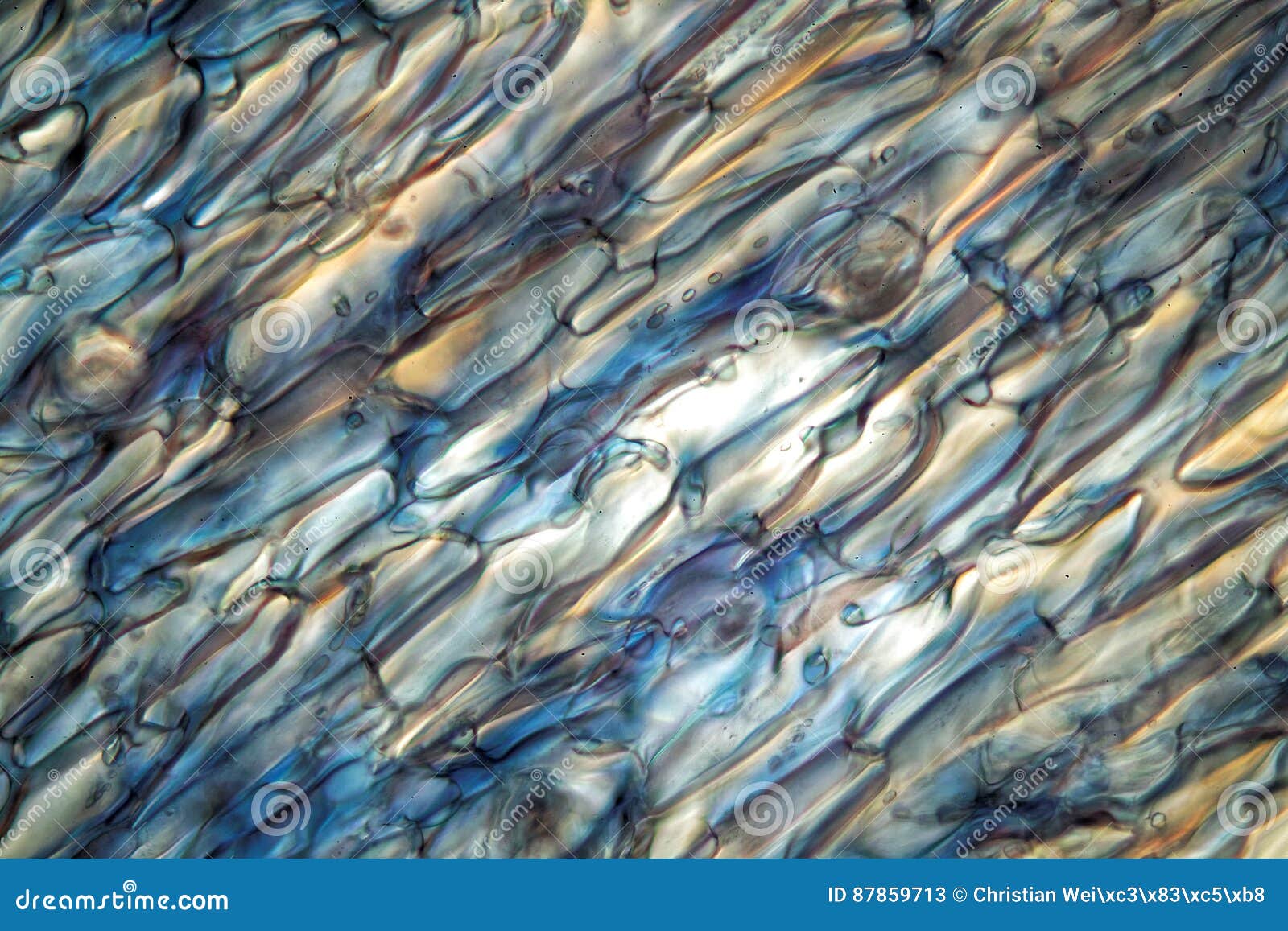 Frozen Apple Juice Under A Microscope. Royalty-Free Stock Photo ...