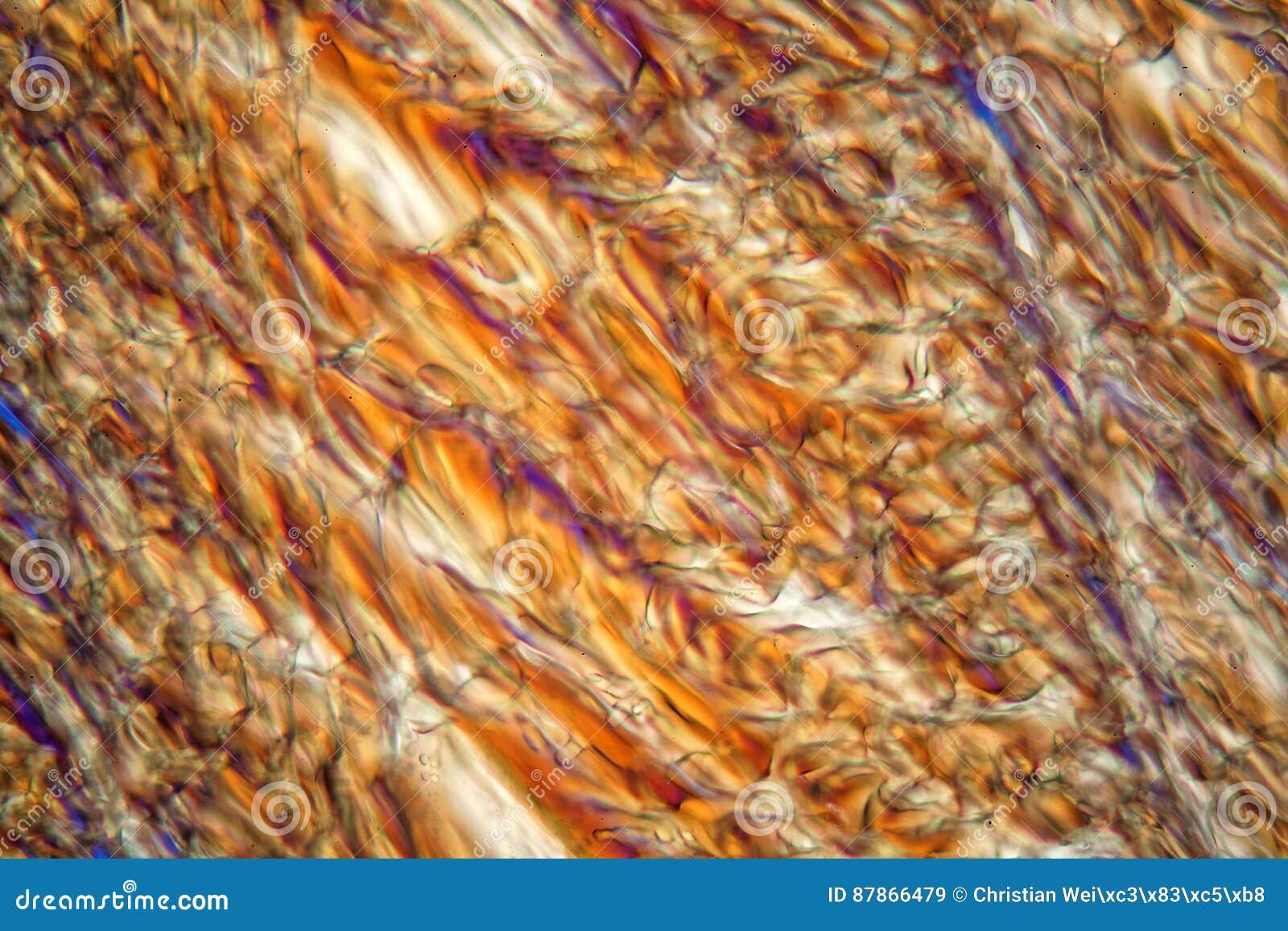 Frozen Apple Juice Under a Microscope. Stock Image - Image of crystal ...