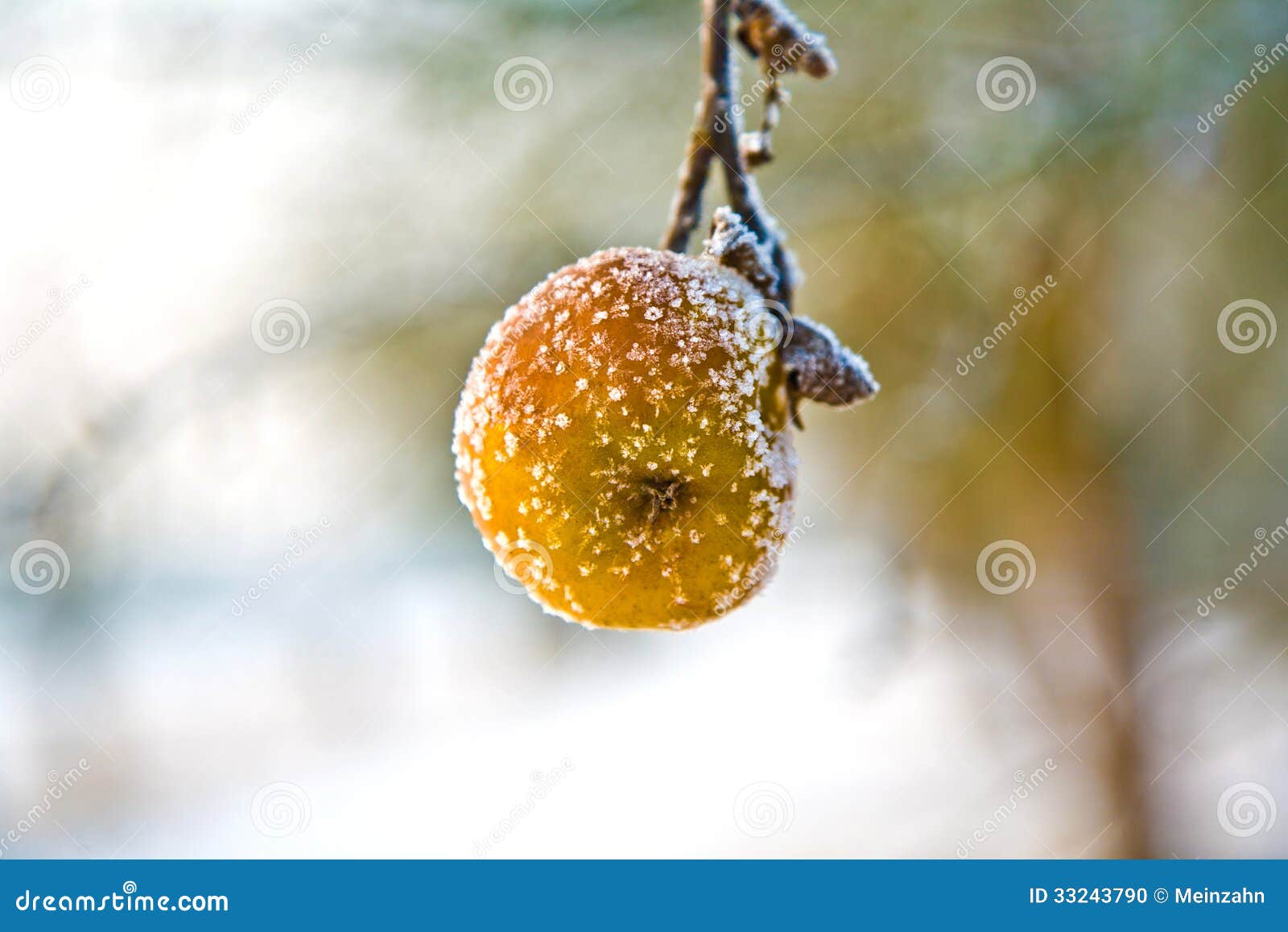 Frozen Apple Juice Under A Microscope. Royalty-Free Stock Photo ...