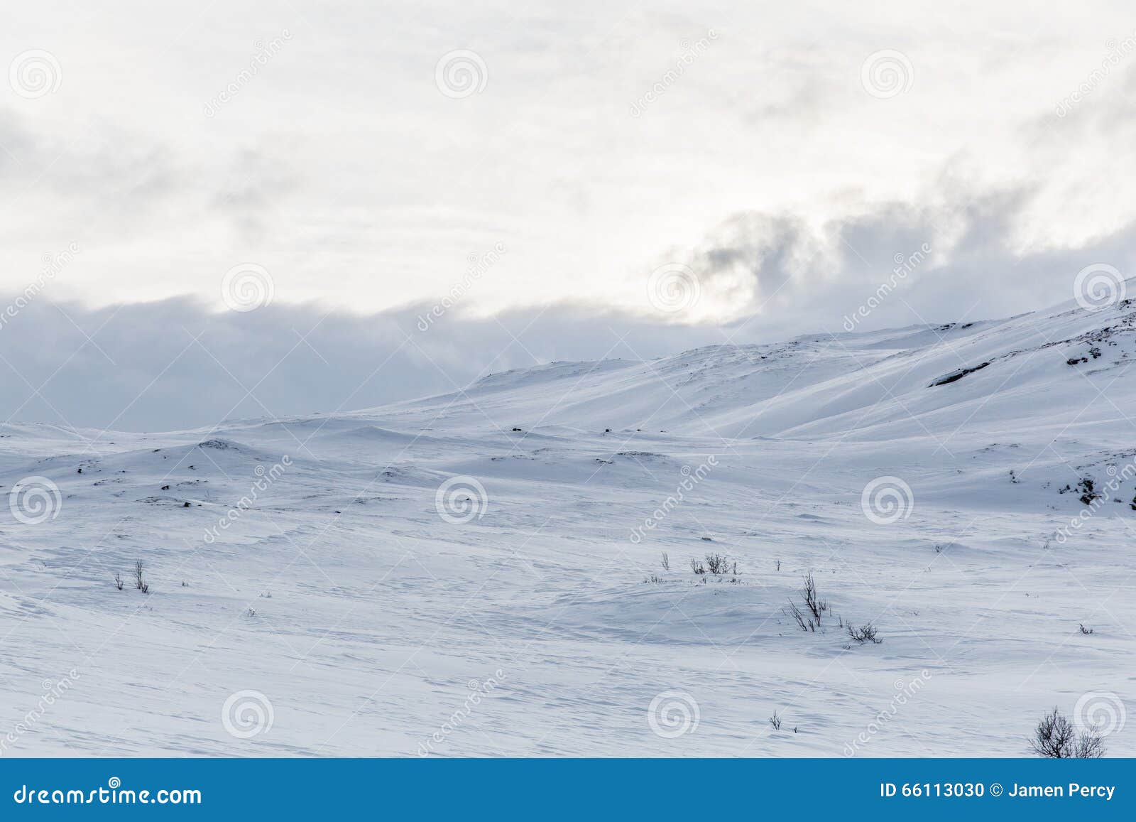 Frozen Arctic scene stock photo. Image of beach, moon - 66113030