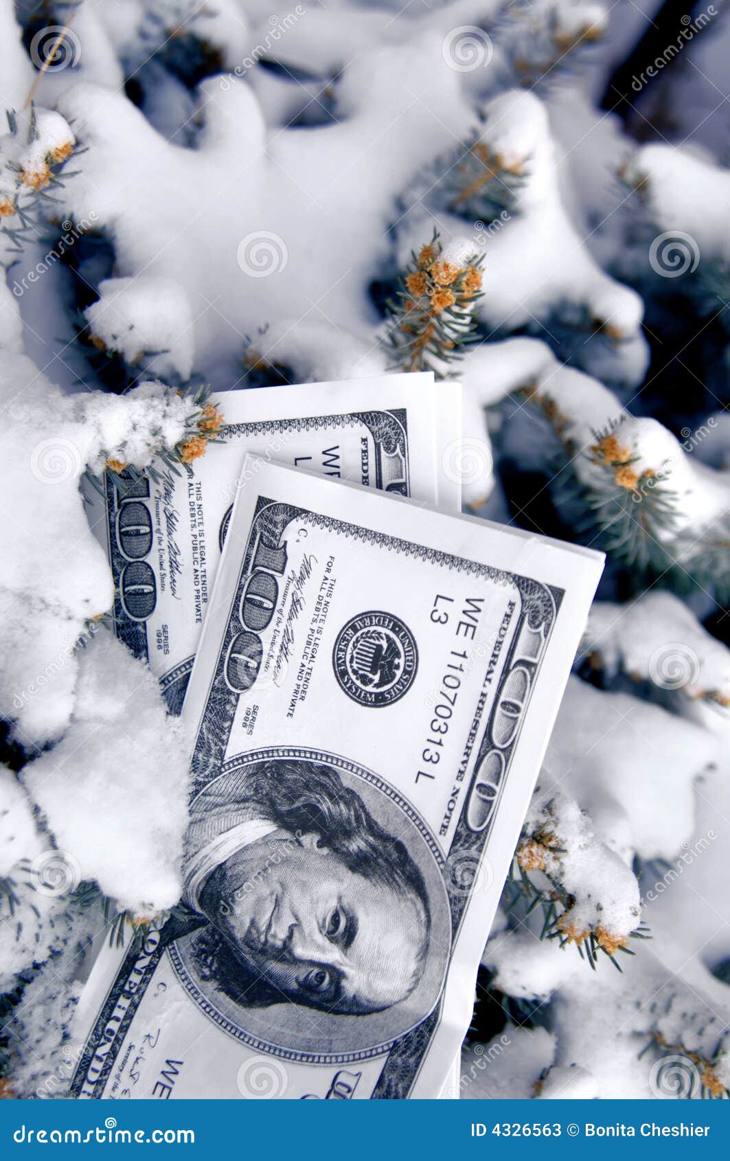Frozen Assets stock image. Image of winter, freeze, bucks - 4326563