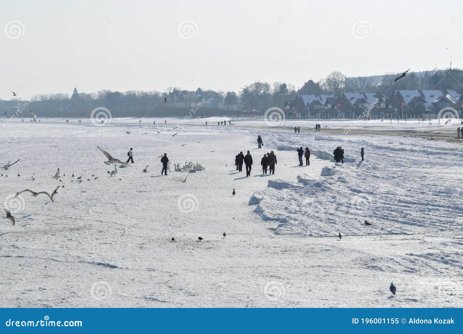Frozen Baltic Sea in Winter Ice and Snow Stock Image - Image of cold ...
