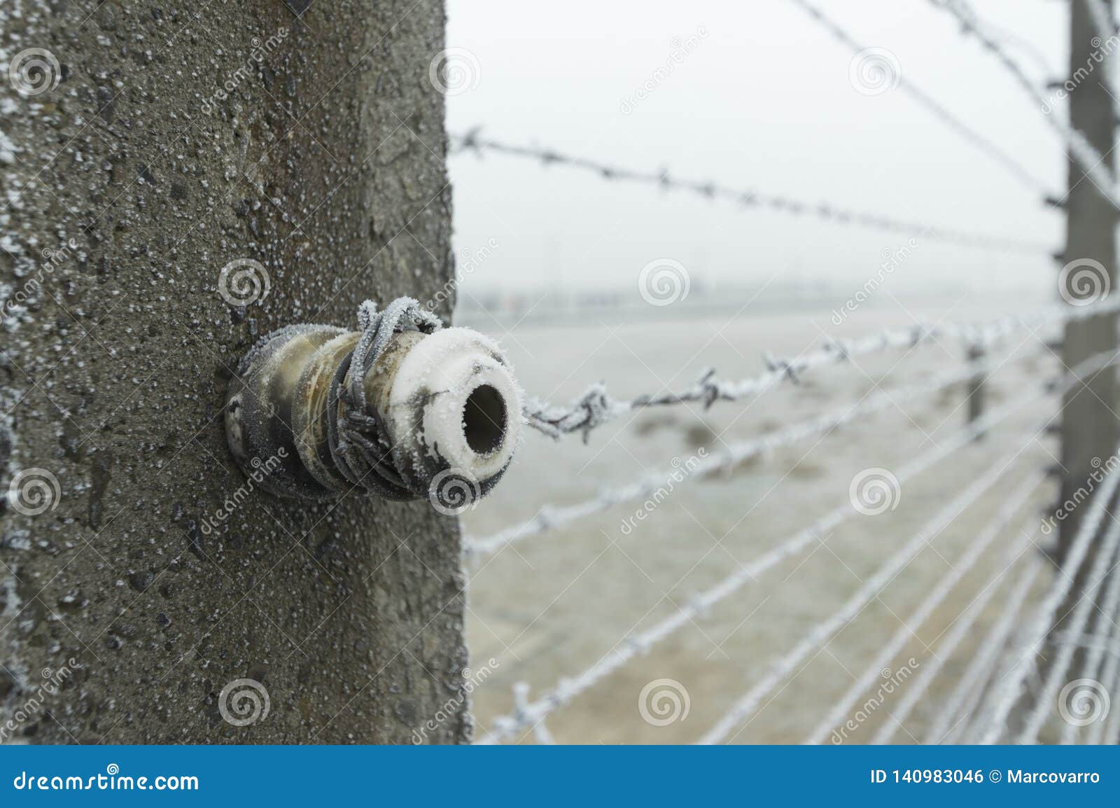 Frozen barbed wire editorial photo. Image of angle, german - 140983046