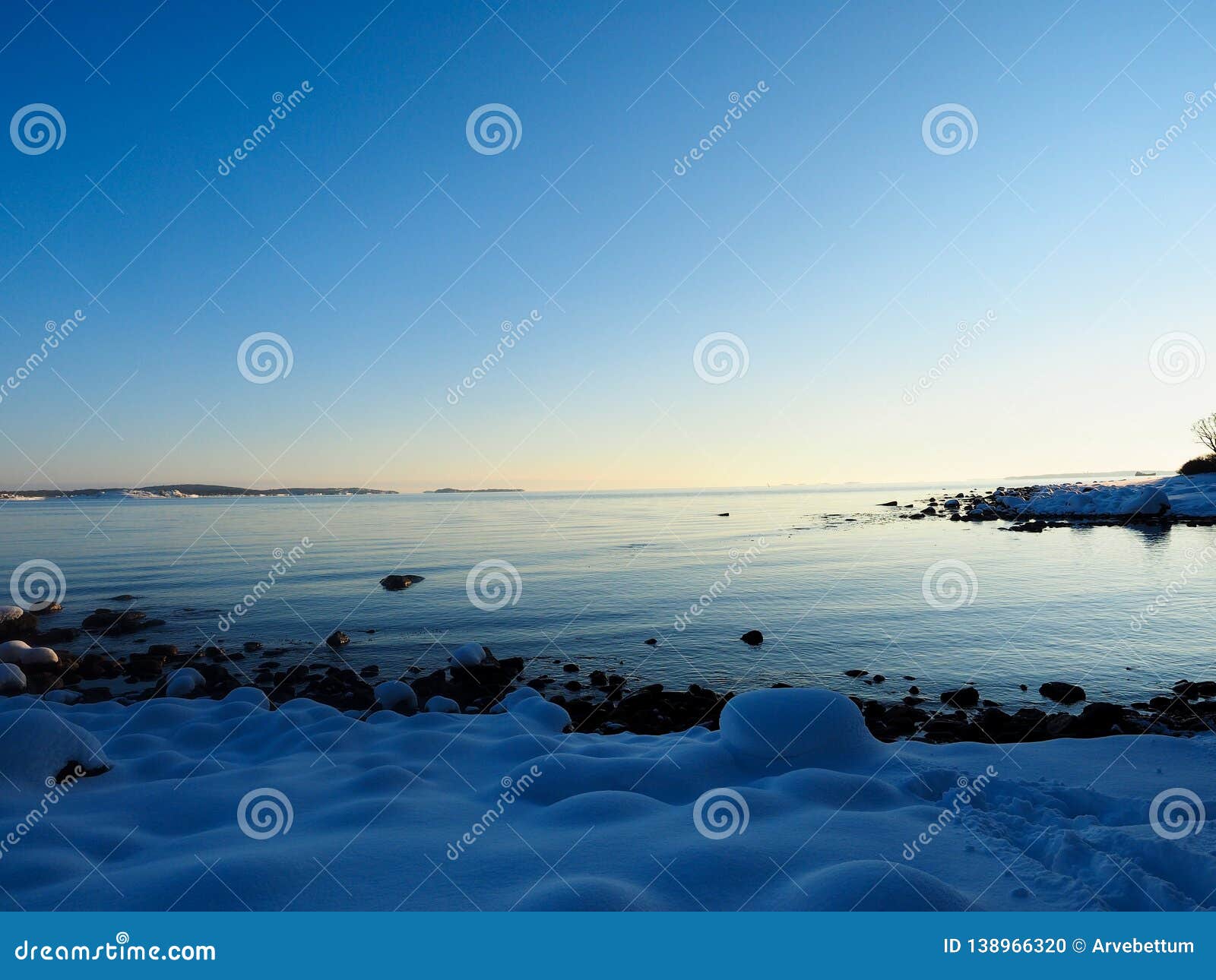 Frozen beach stock photo. Image of forest, inlet, beach - 138966320