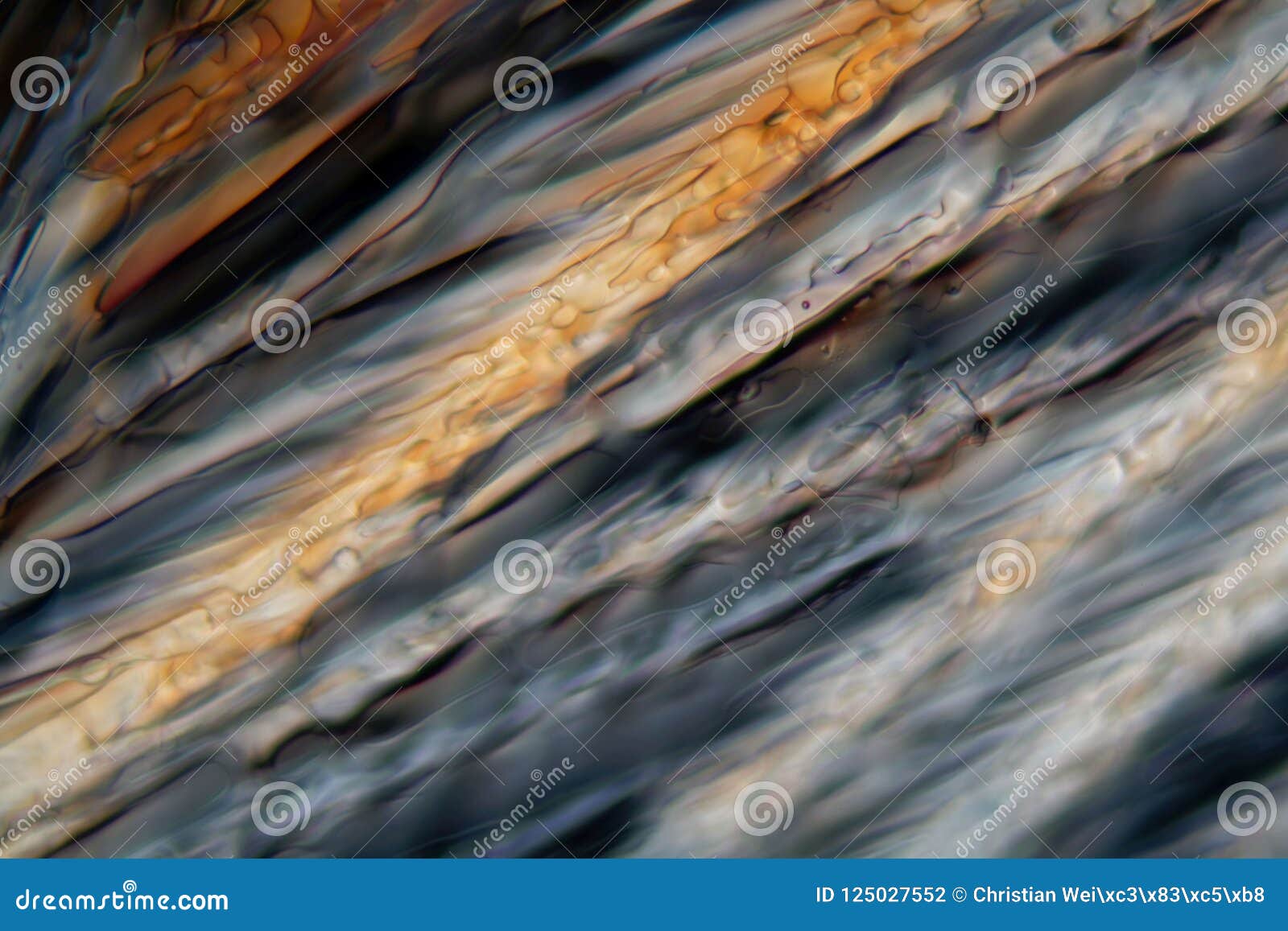 Frozen Beer Under a Microscope, German Pale Lager Beer. Stock Photo ...
