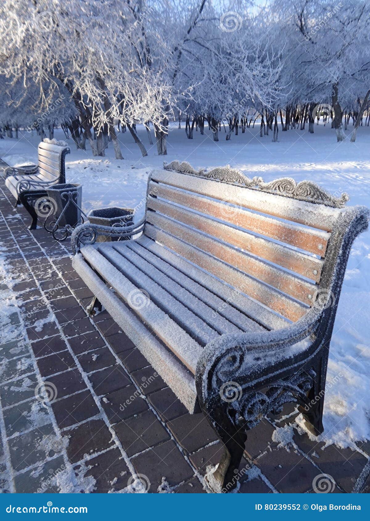 Frozen Bench in a City Park Winter Stock Photo - Image of frost, nature ...