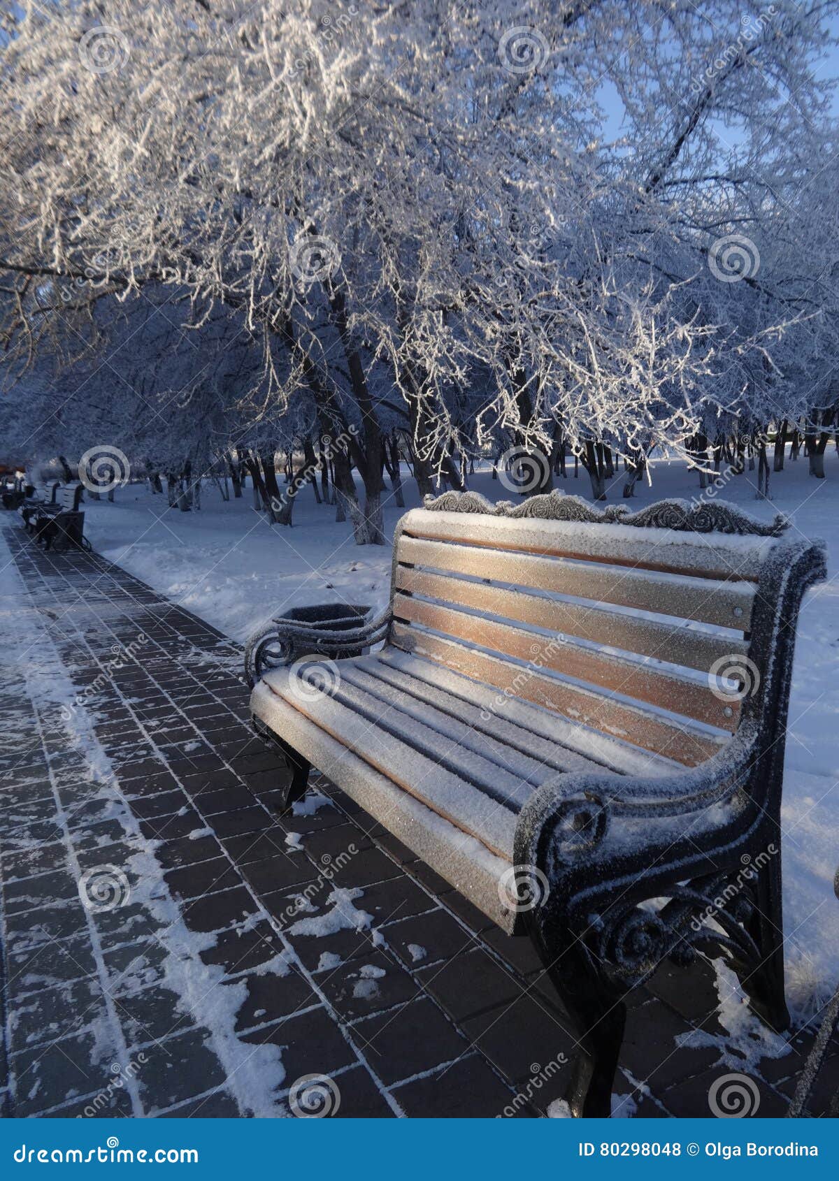 Frozen Bench in a City Park Winter Stock Photo - Image of november ...