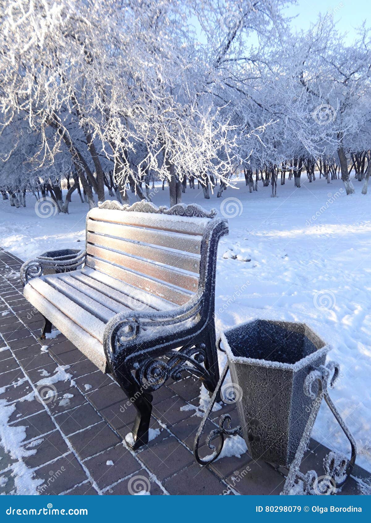 Frozen Bench in a City Park Winter Stock Image - Image of scenic ...