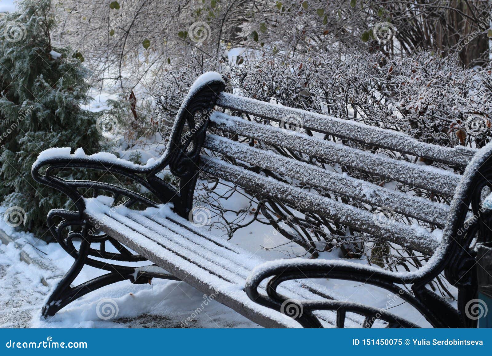 Frozen Bench Covered with the First Snow Stock Image - Image of ...