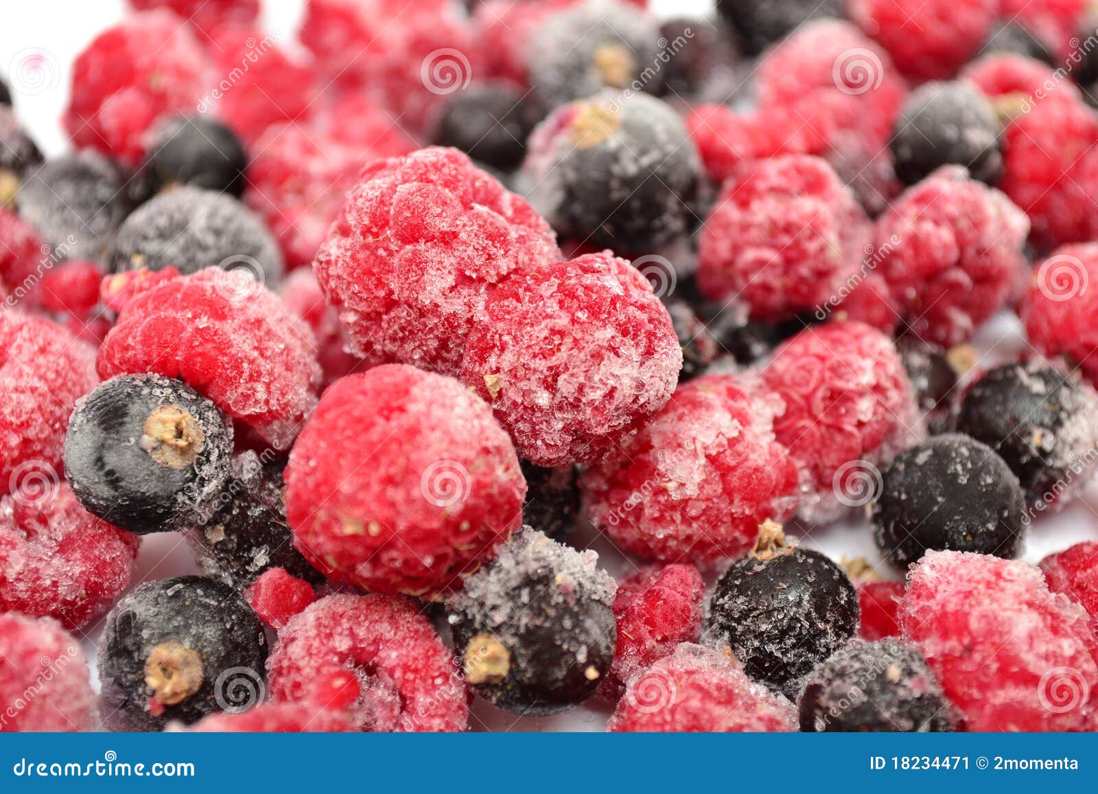 The frozen berries stock image. Image of winter, hoarfrost - 18234471