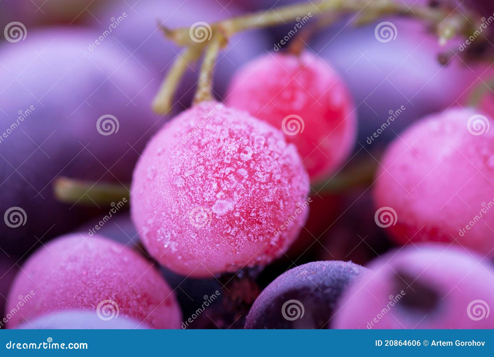 Frozen berries stock photo. Image of blackberries, brightly - 20864606