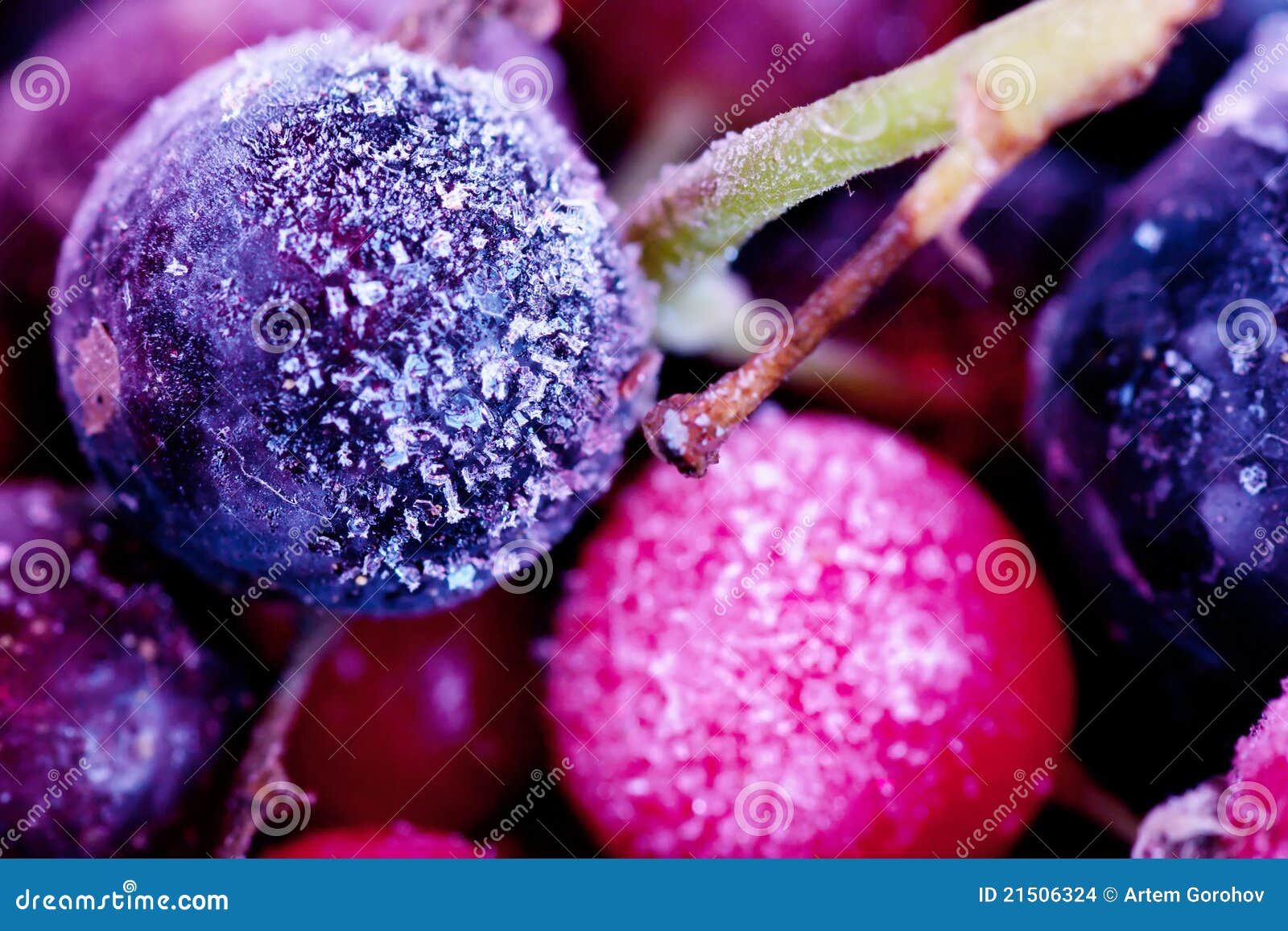 Frozen berries stock photo. Image of black, berry, antioxidant - 21506324