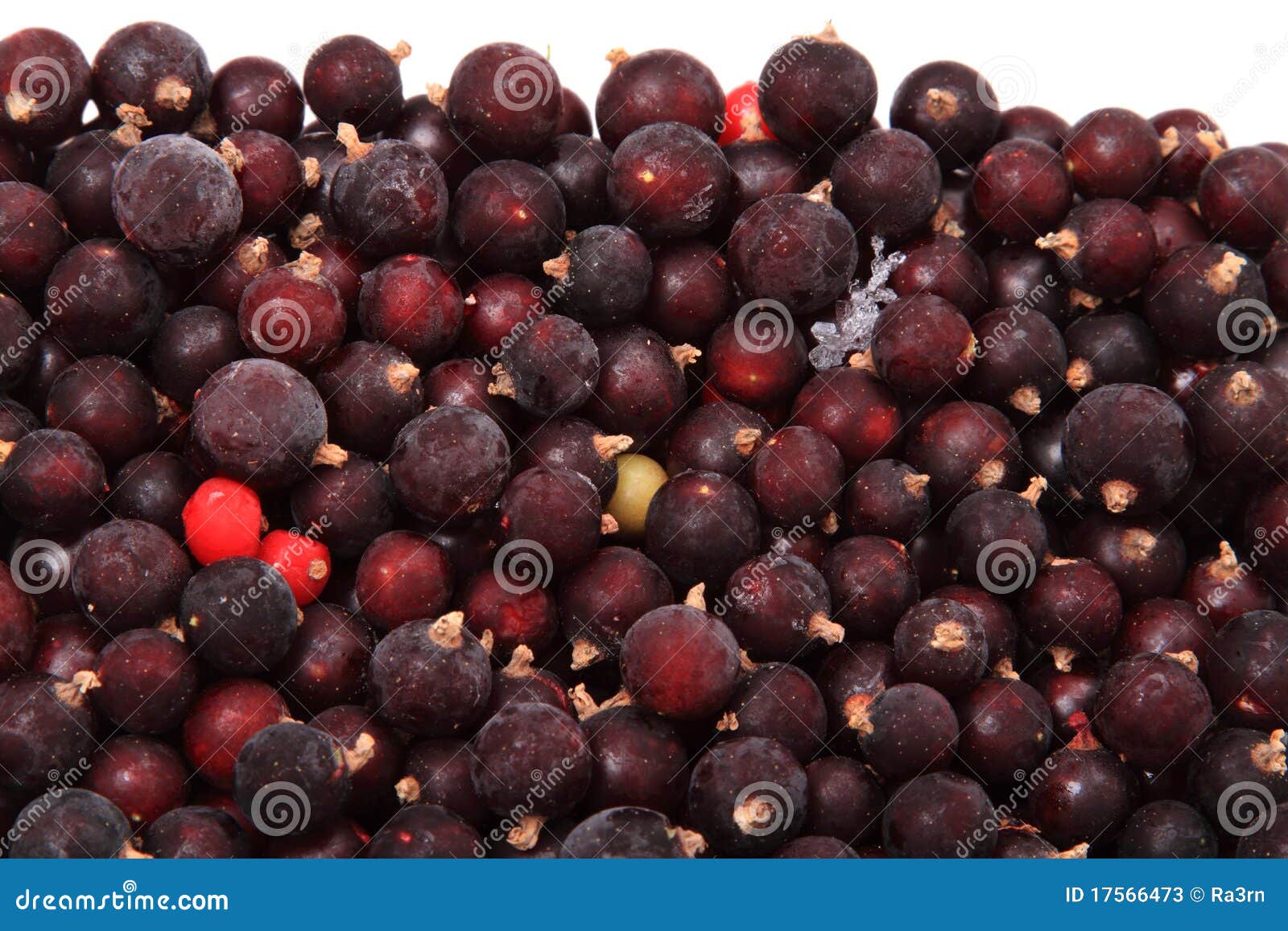 Frozen berries currants stock image. Image of black, berries - 17566473