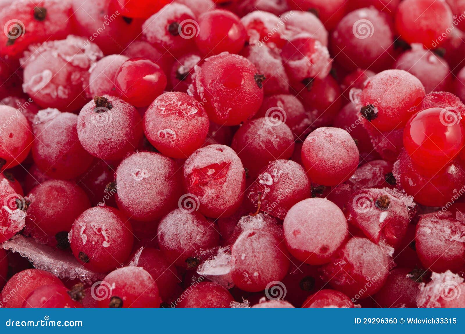 Frozen Berries Red Currant DSC_0645 Stock Photo - Image of harvest ...