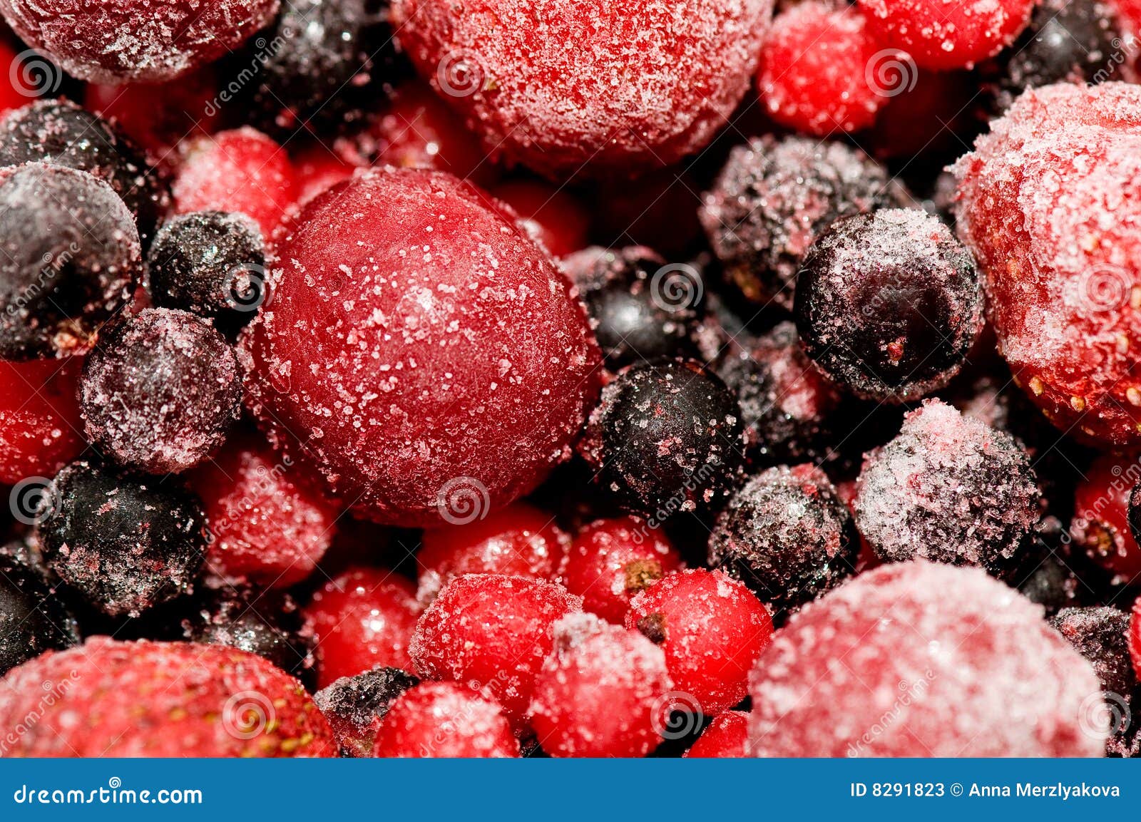 Frozen berry stock image. Image of sweet, frost, nutrition - 8291823