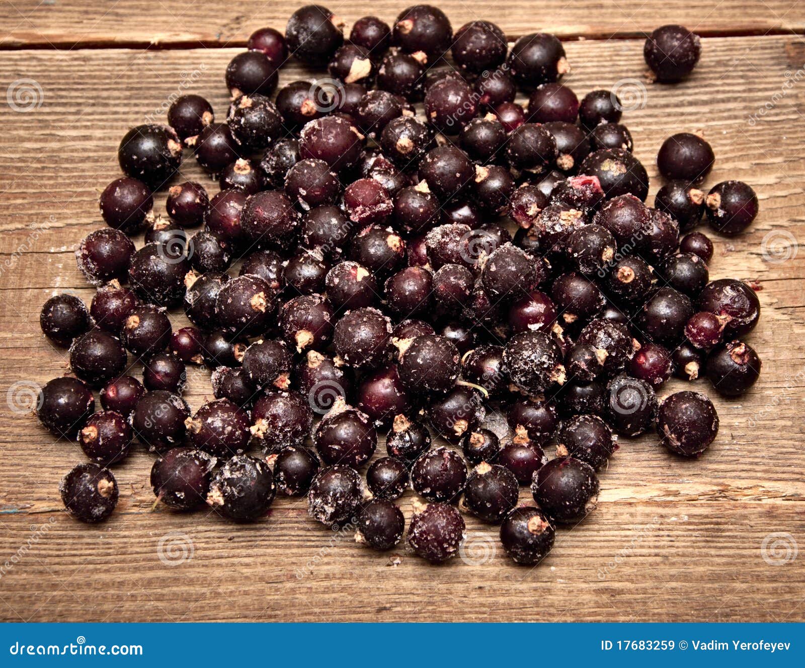 Frozen black currant stock image. Image of refreshment - 17683259