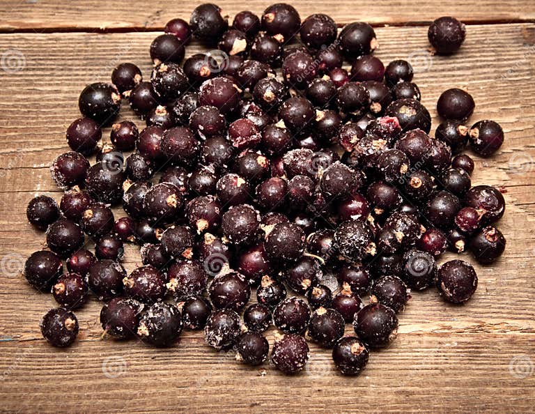 Frozen black currant stock image. Image of refreshment - 17683259